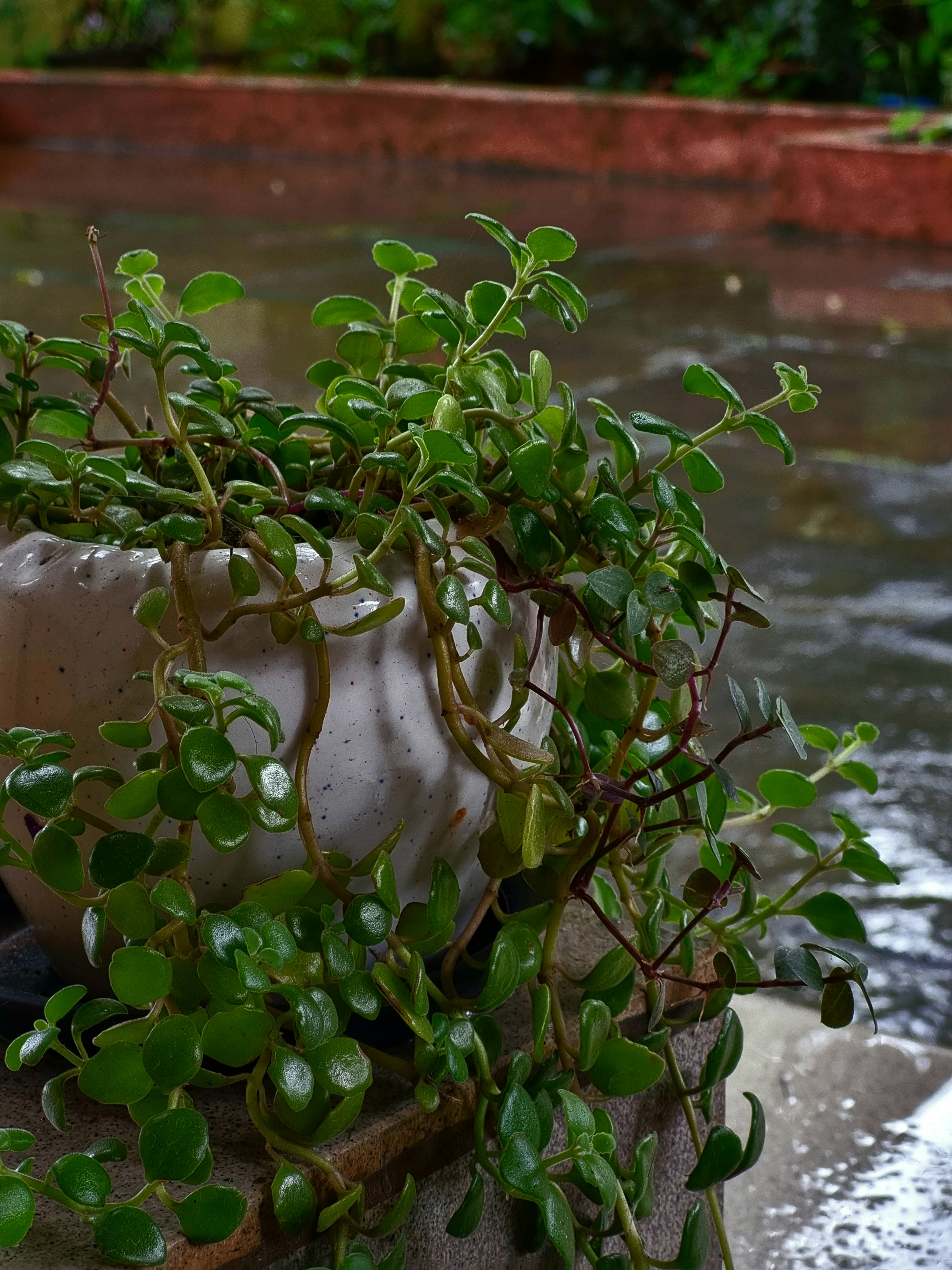 Photo by Nikhil . with Samsung Galaxy S21