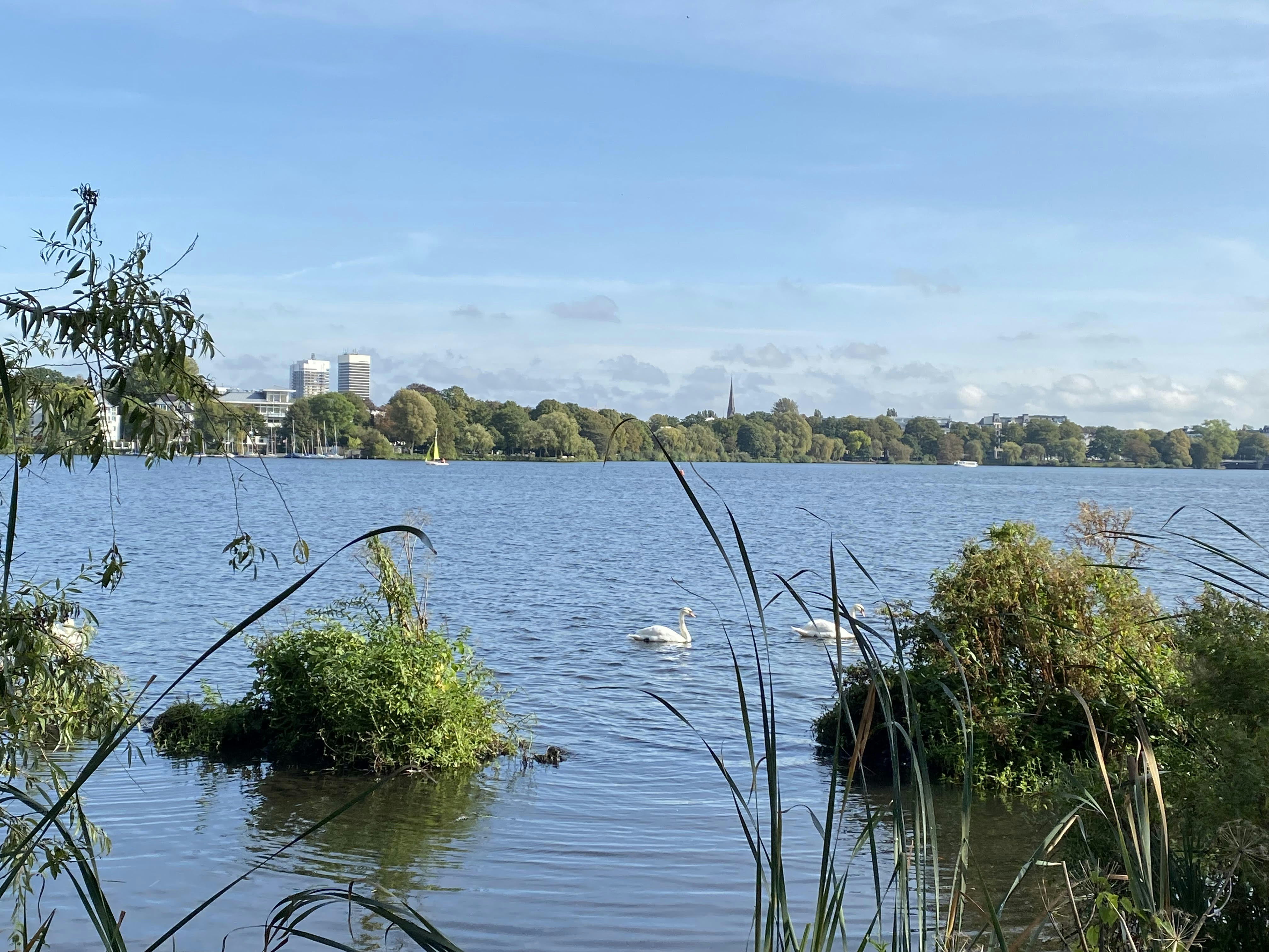A body of water surrounded by grass and trees photo – Free Lake Image ...