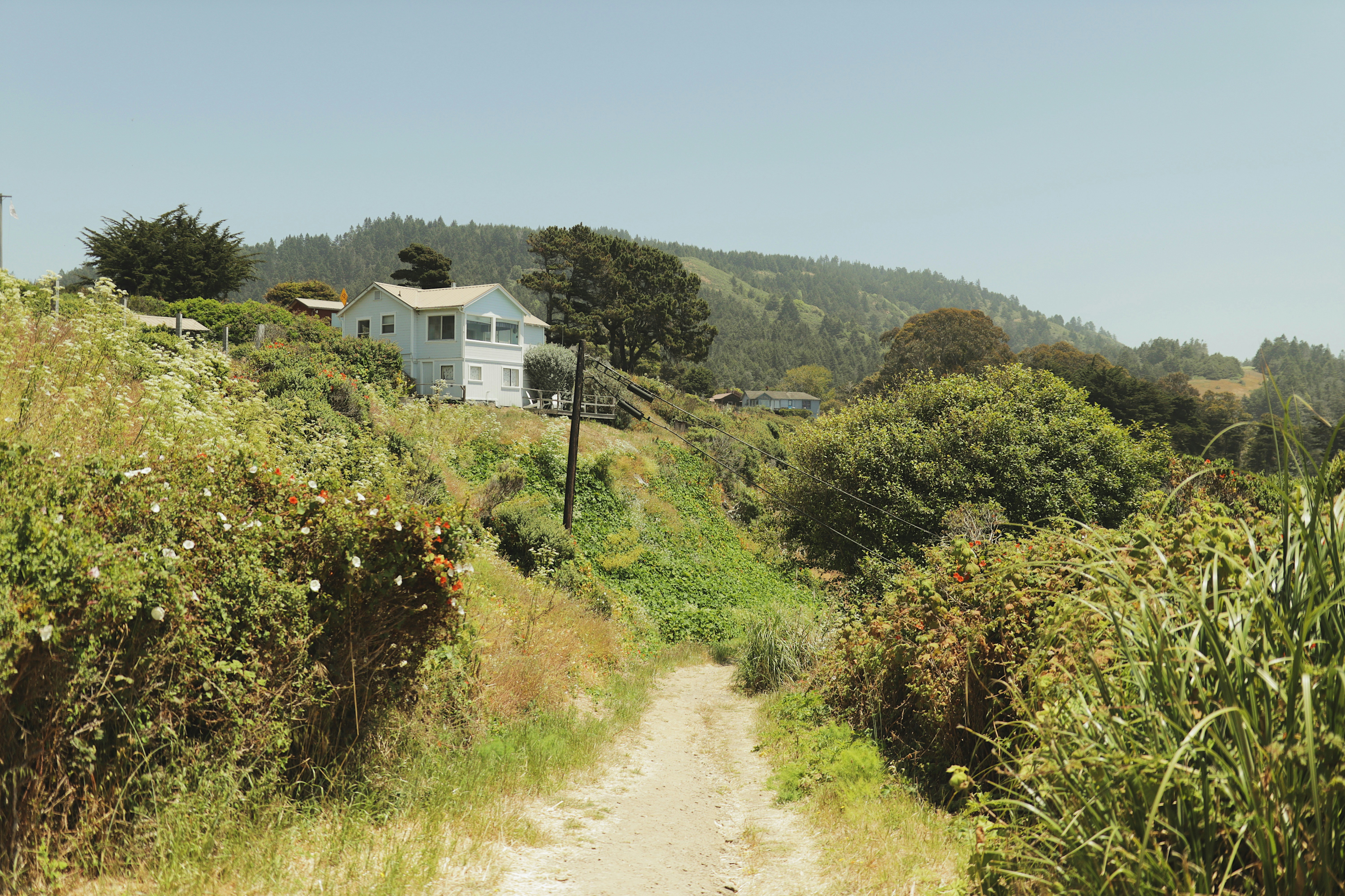 Country Pathway to a Hillside Home