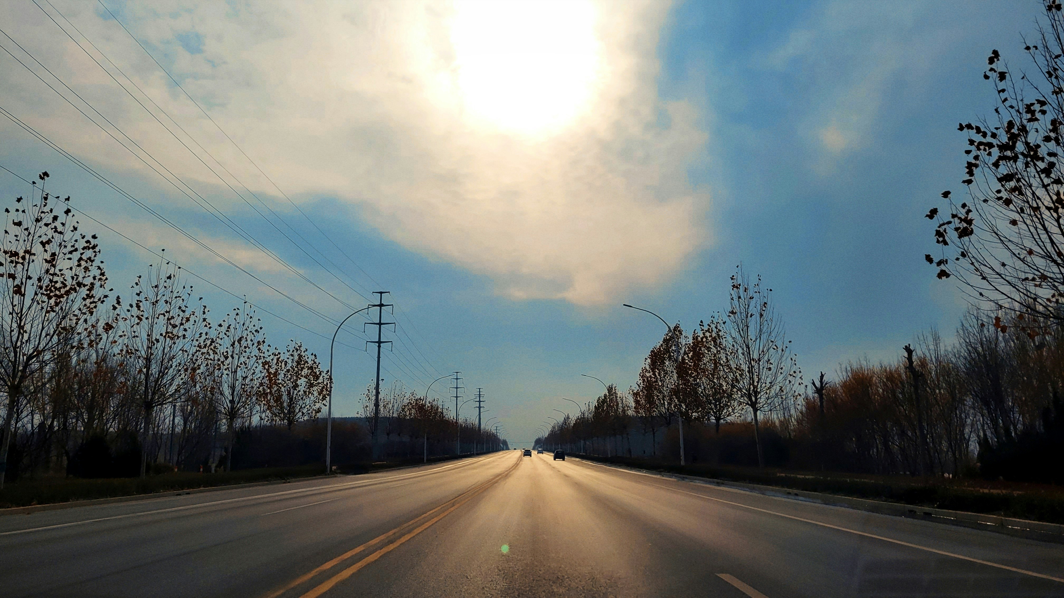 Sunlit Quiet: The Road Toward a Distant Vanishing Point