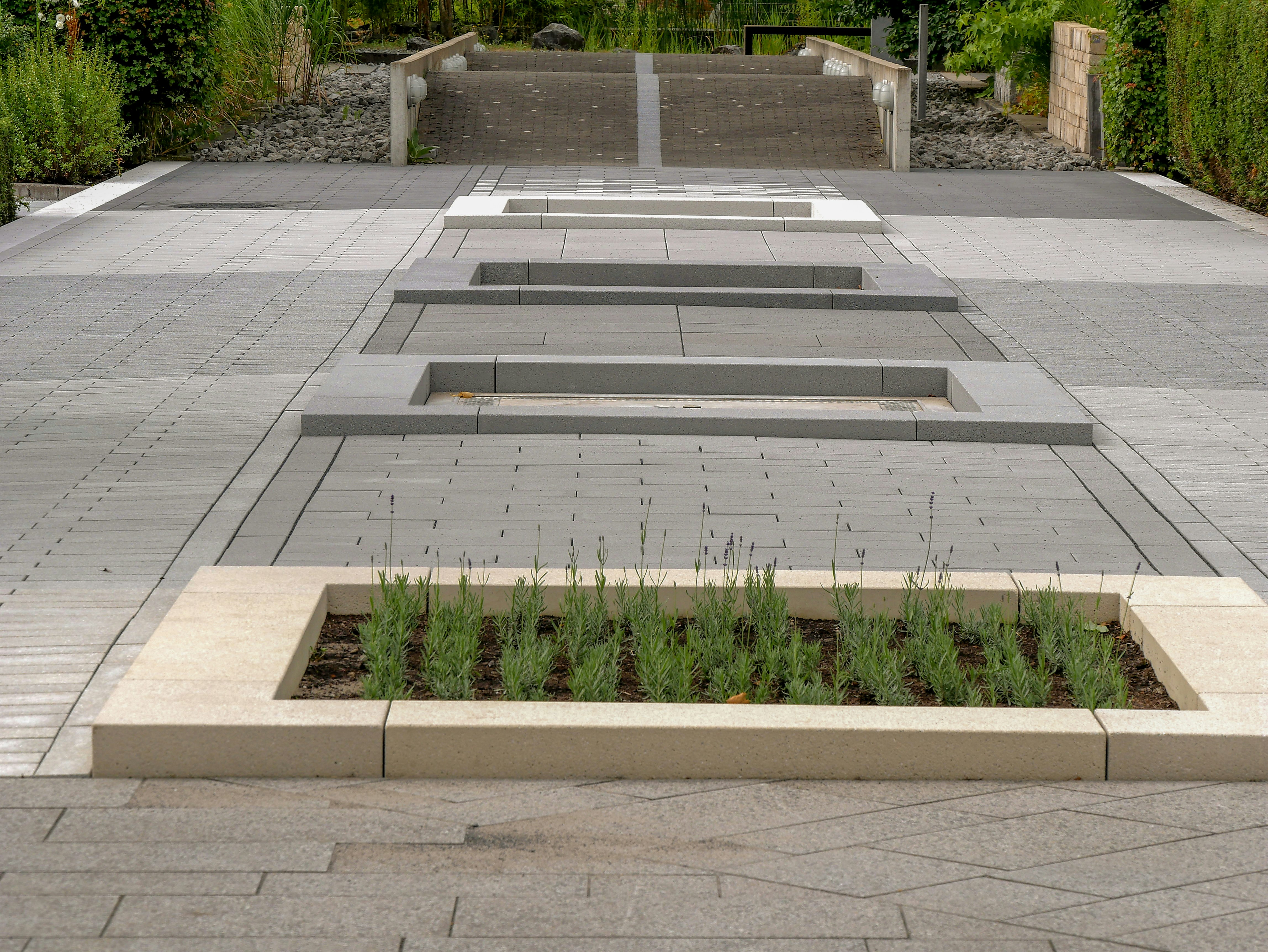 A concrete walkway with a planter box in the middle of it photo – Free ...