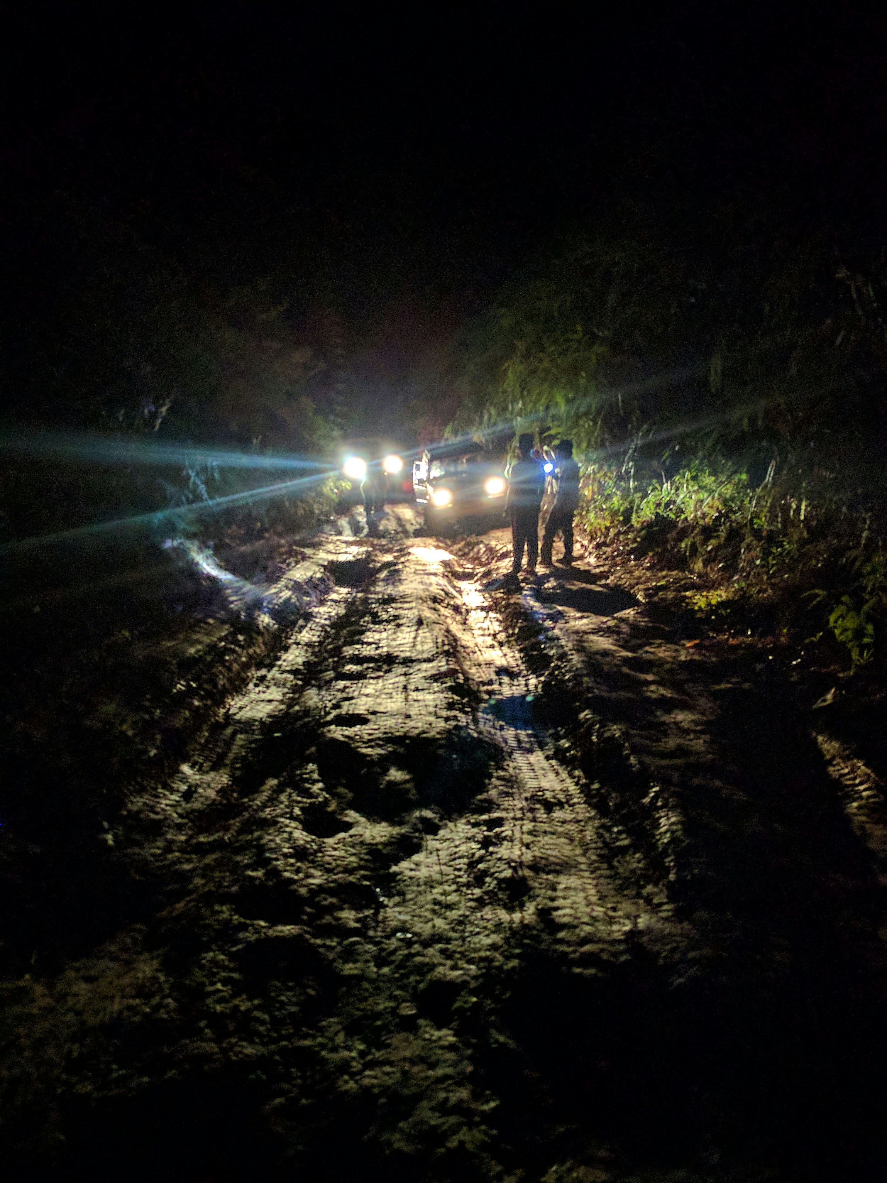 Nighttime photograph of a muddy road through a dense wooded area, lit by two oncoming vehicles' headlights. Silhouettes of a few people stand by the vehicles, suggesting a roadside stop or checkpoint.