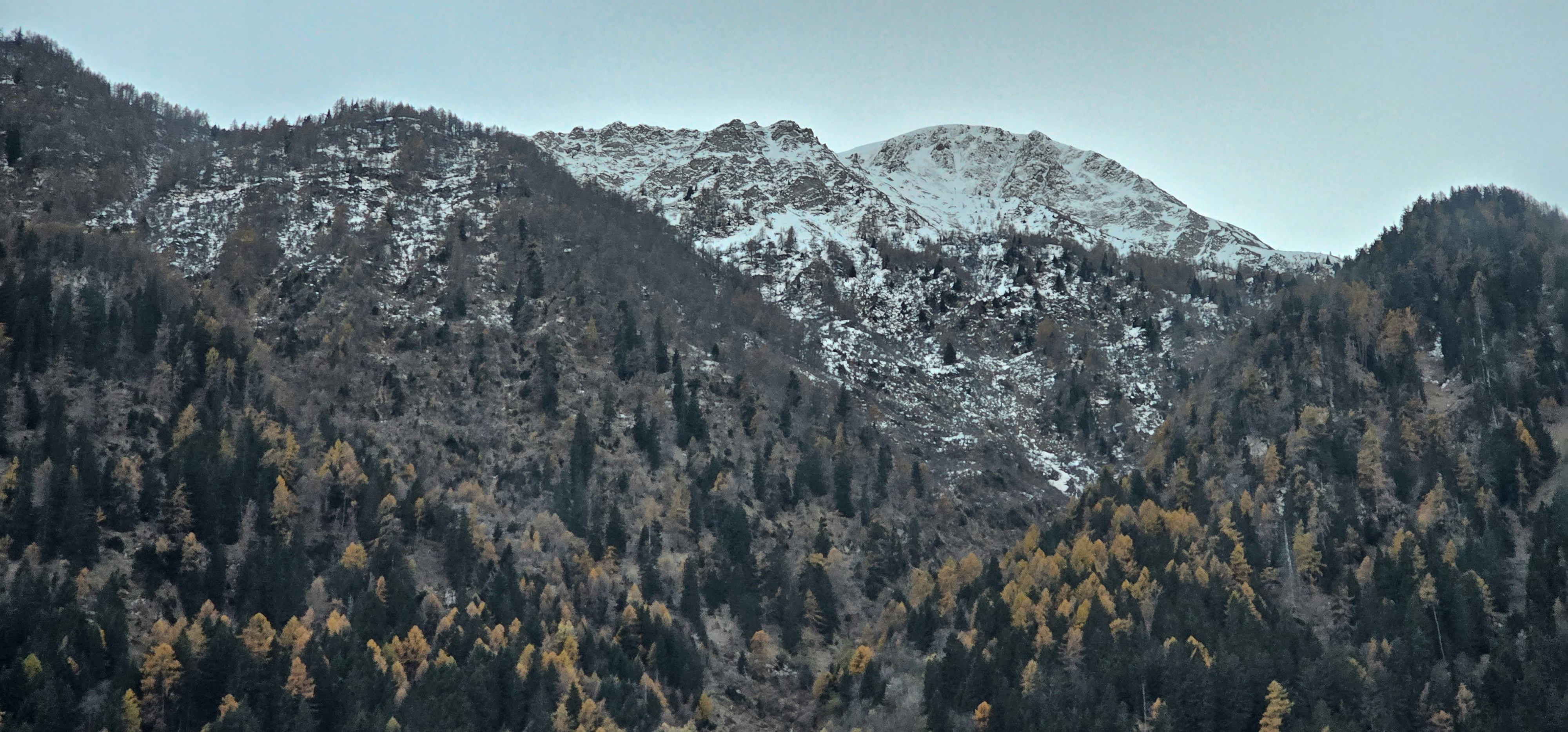 Snow-Crowned Crest Looms Over a Pine-Scattered Valley