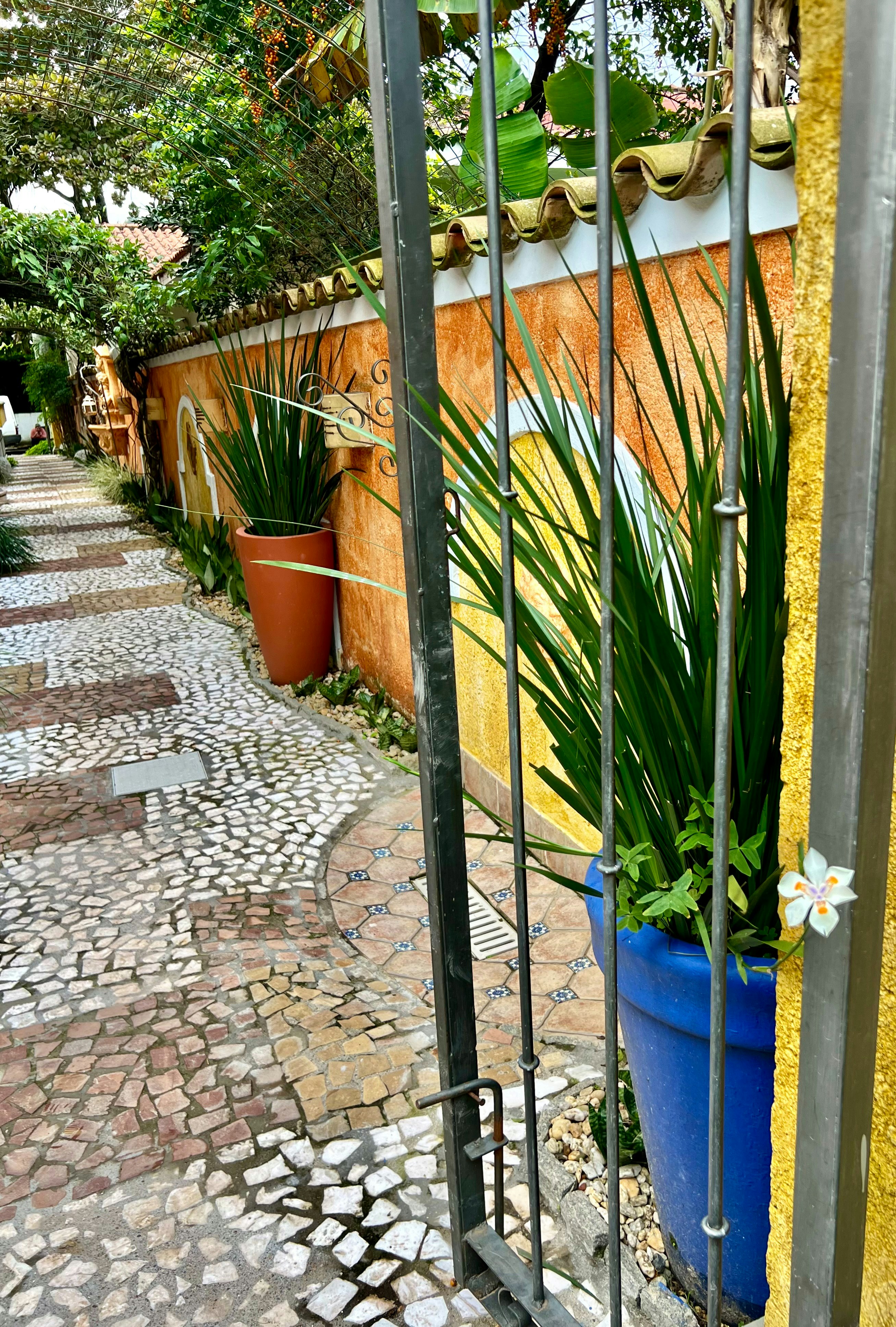 Azure Pot by a Wrought-Iron Gate: Sunlit Mosaic Alley in a Colorful Courtyard