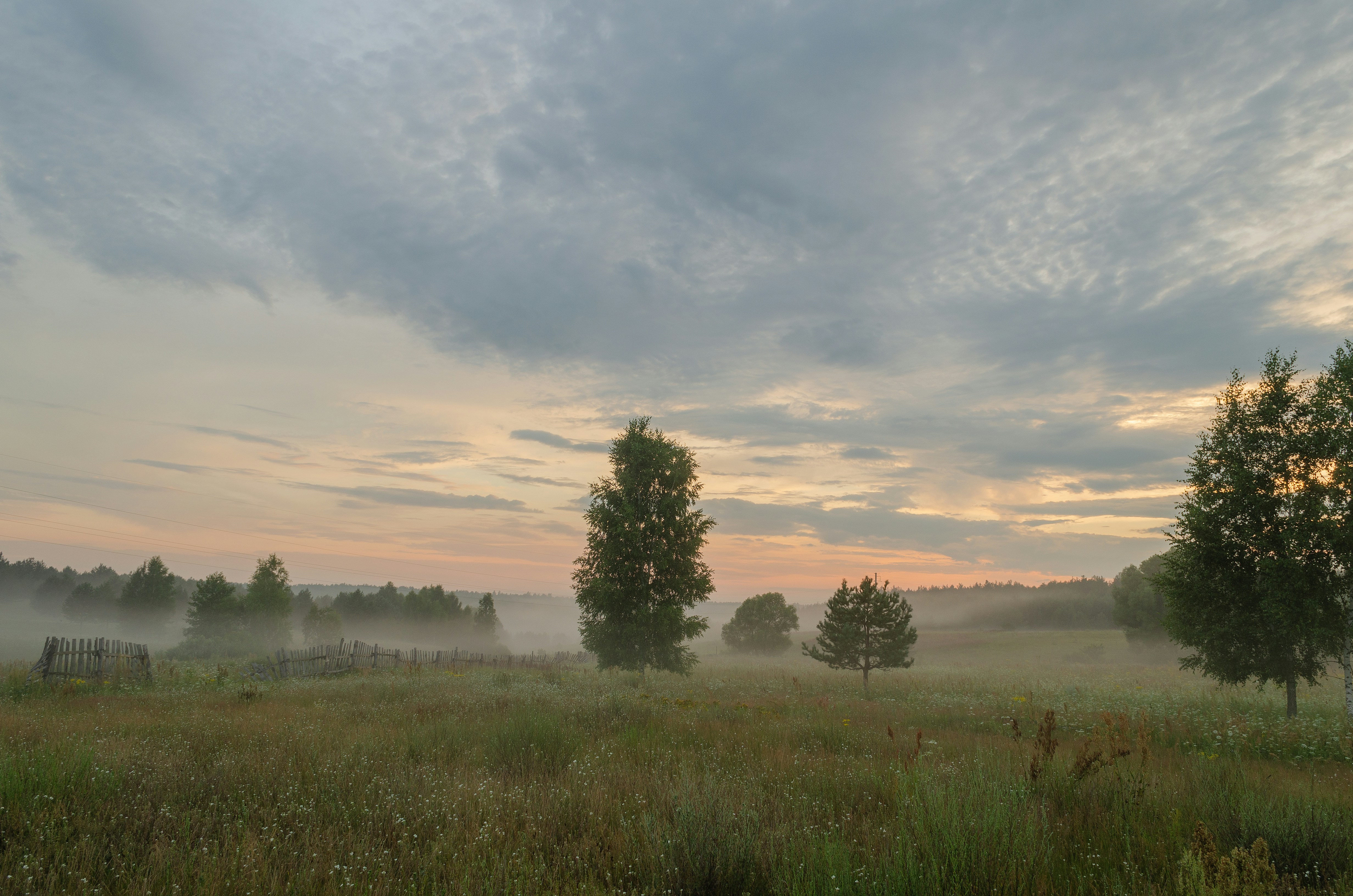 Photo by Andrey Soldatov with Nikon D5100