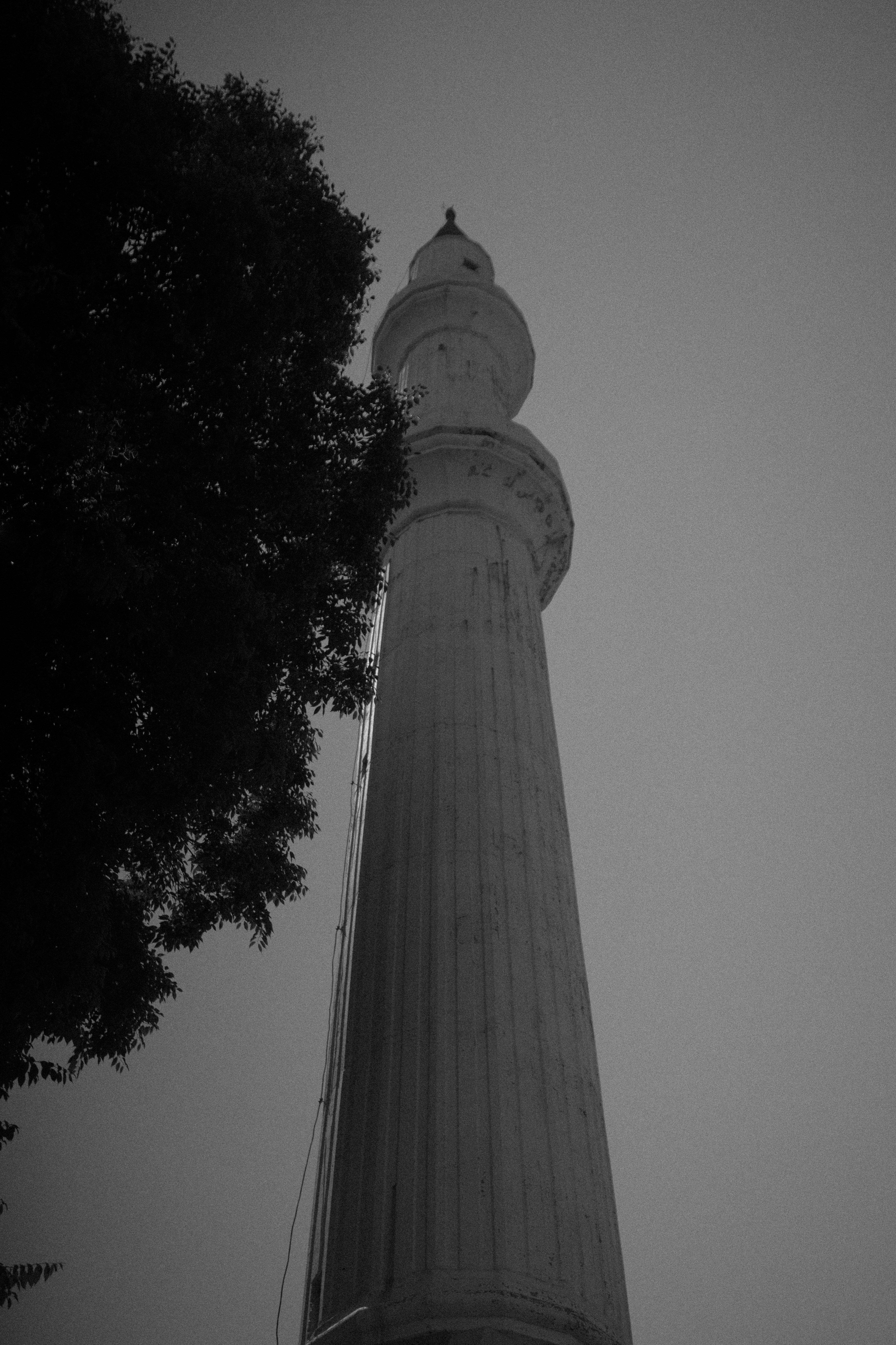 Photo by Berat Korkmaz with Sony Alpha 7