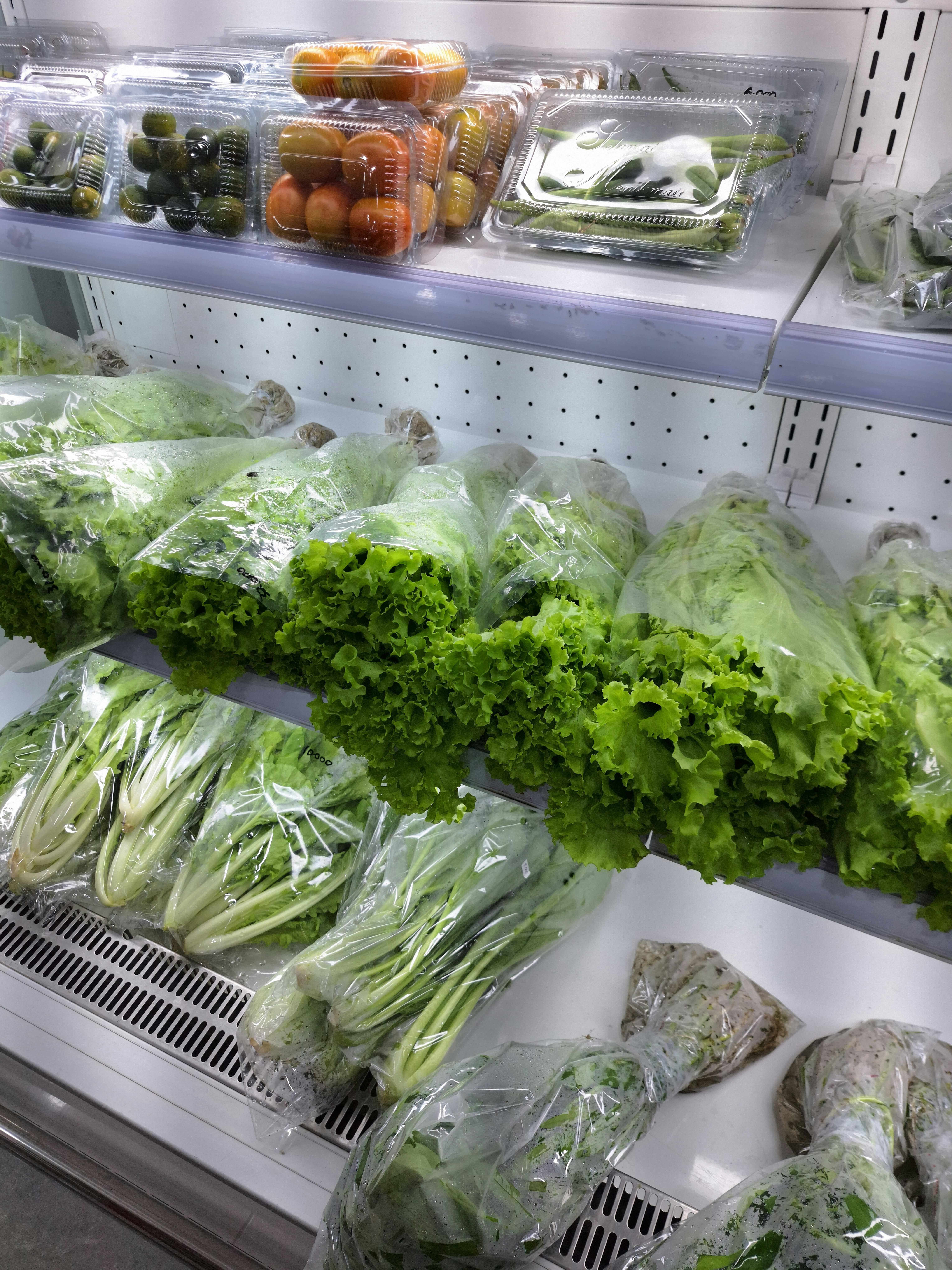 A variety of leafy greens and vegetables neatly packaged in a refrigerated display, showcasing vibrant colors and freshness.