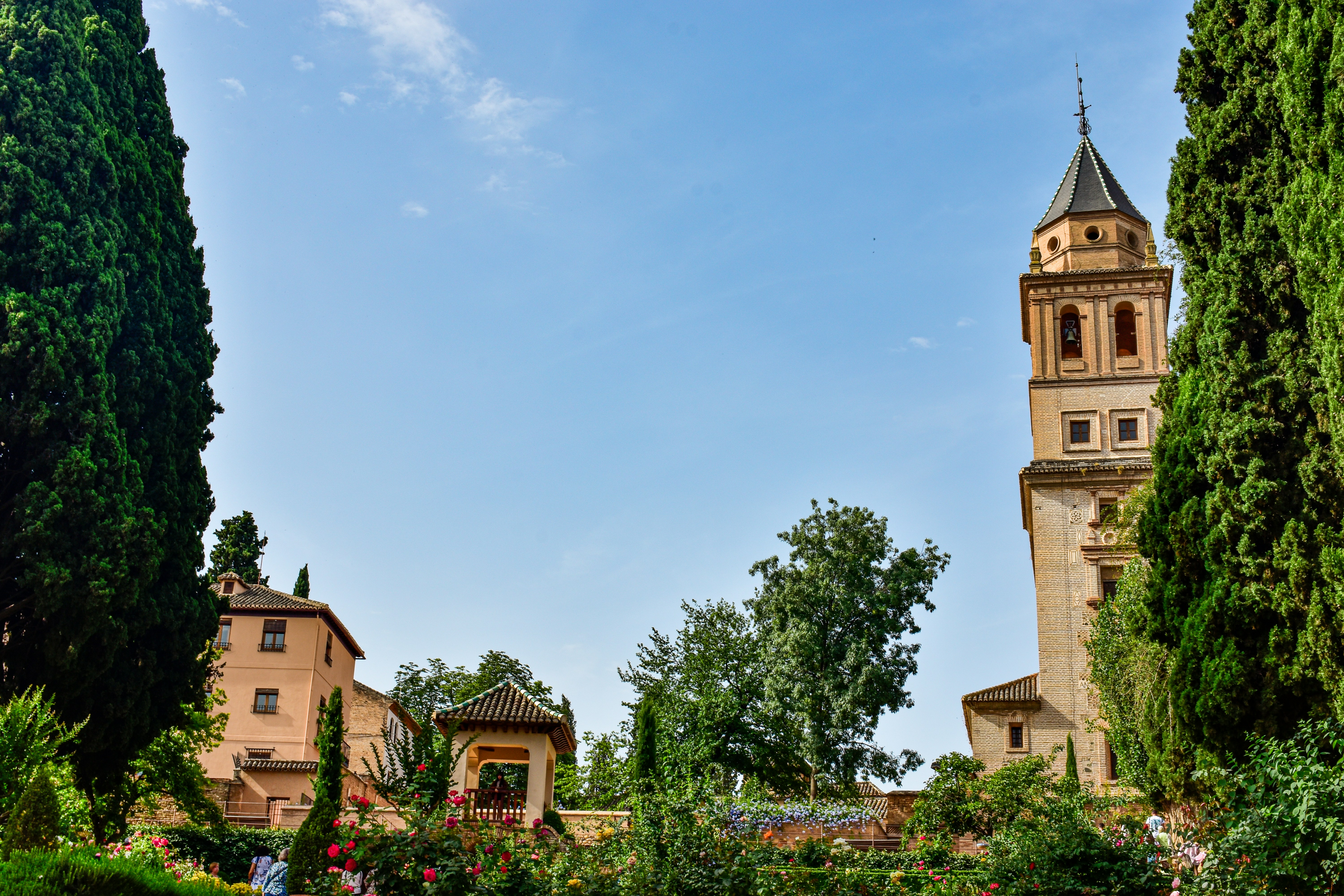 A clock tower towering over a lush green park photo – Free Building ...