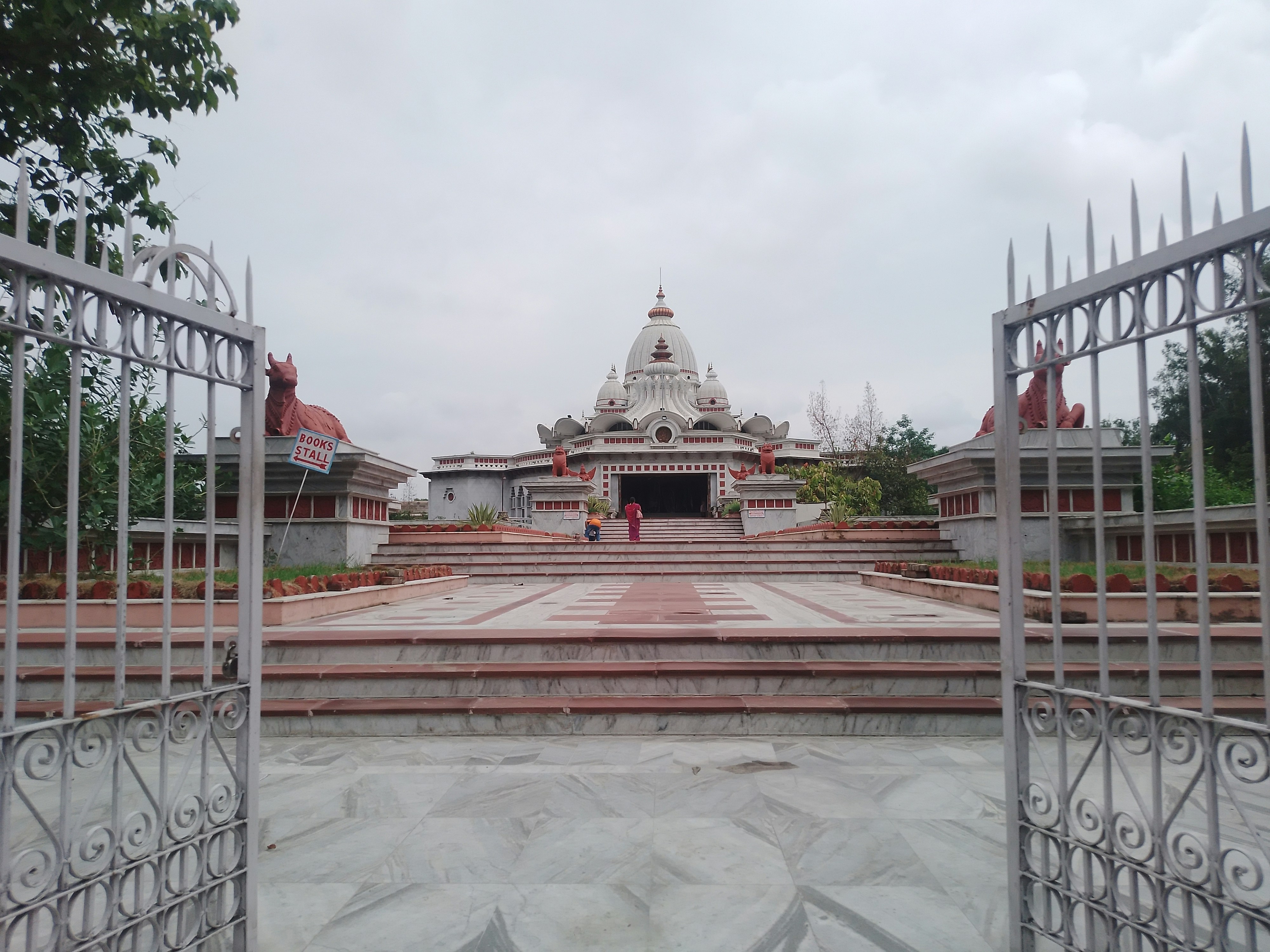 Sample photo from Samsung Galaxy A03