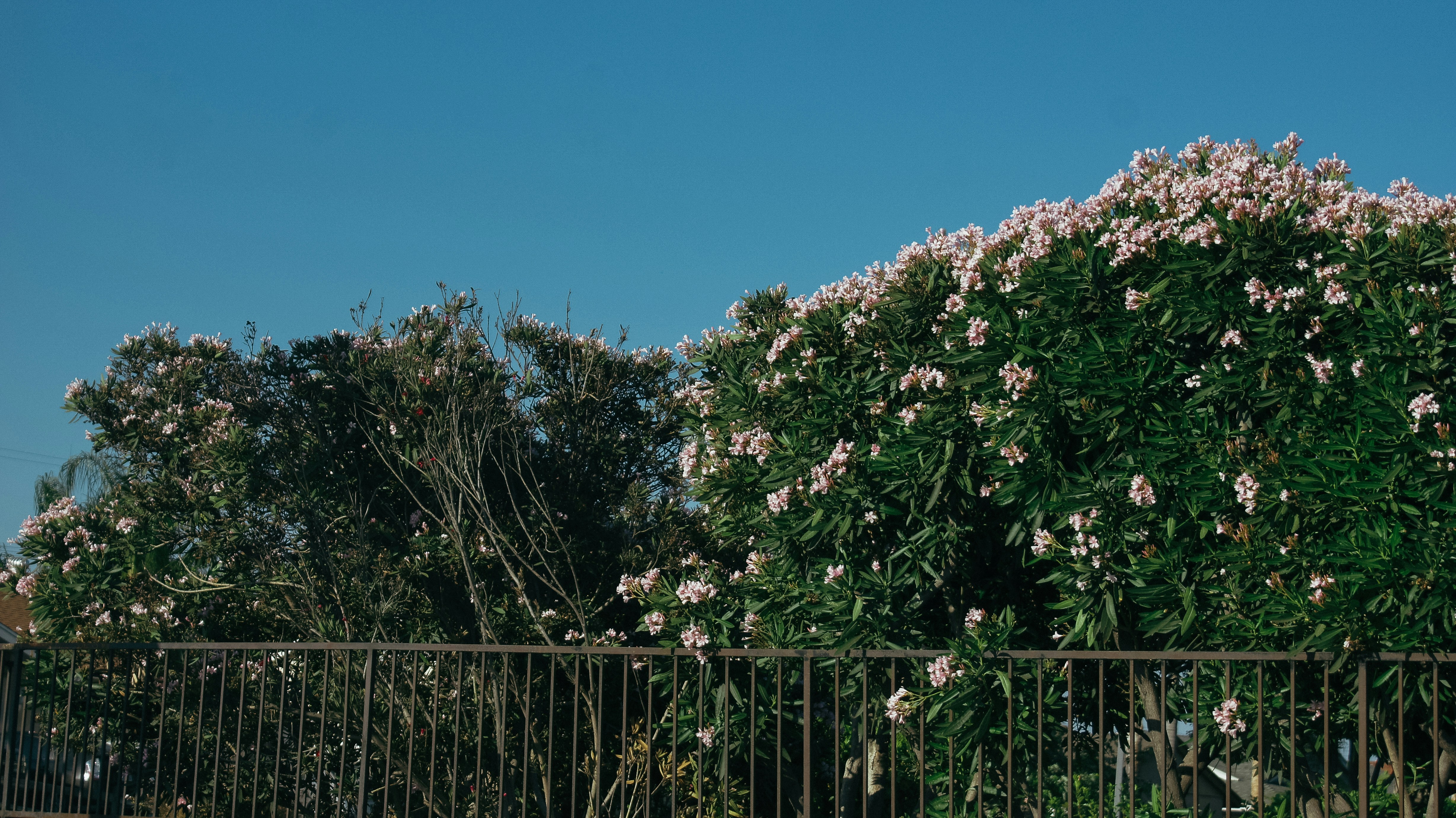 Mandy Ferrer (@southcypress) | Unsplash-Foto-Community