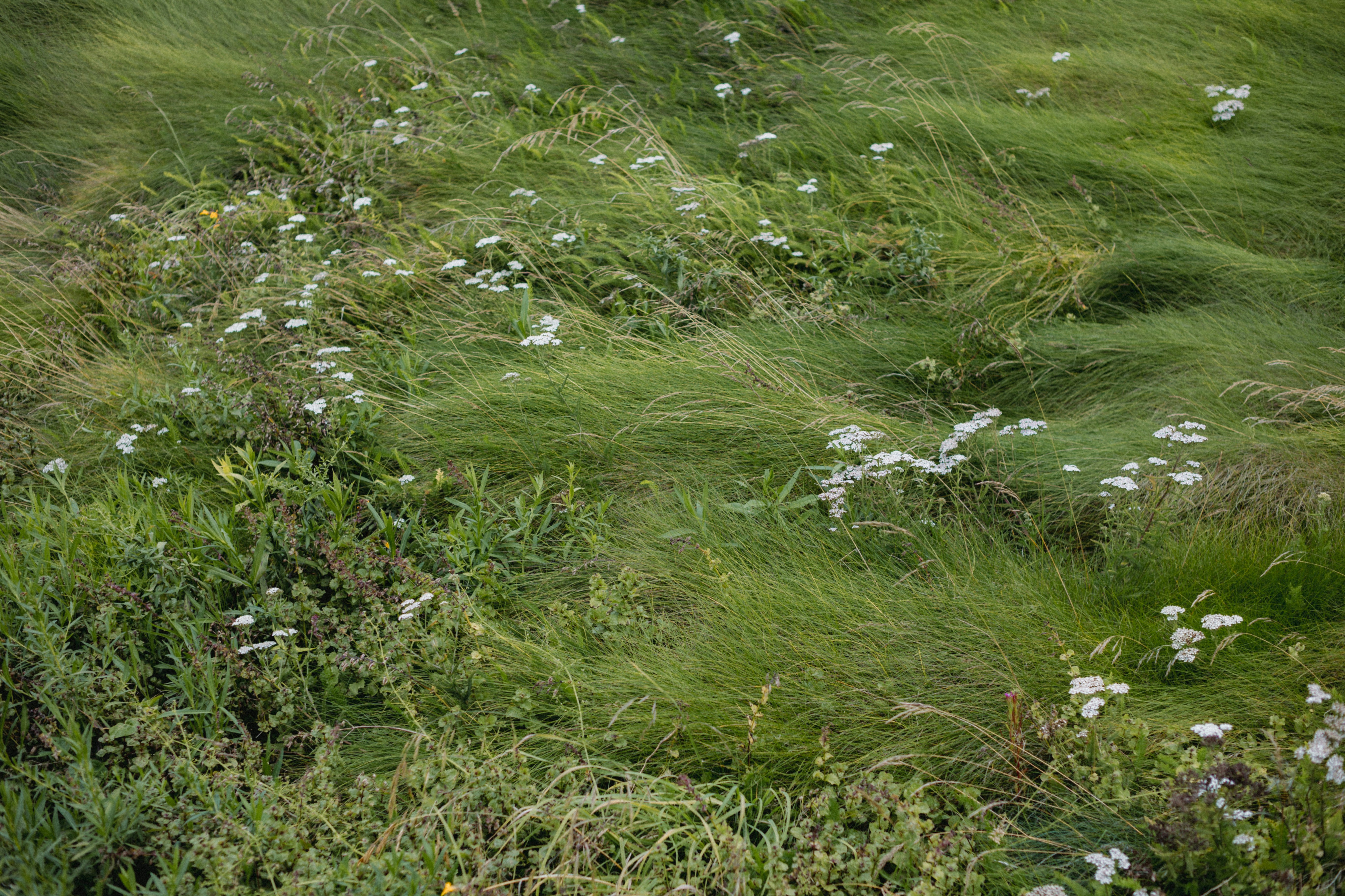 Photo by Jason Leung with Canon EOS R6