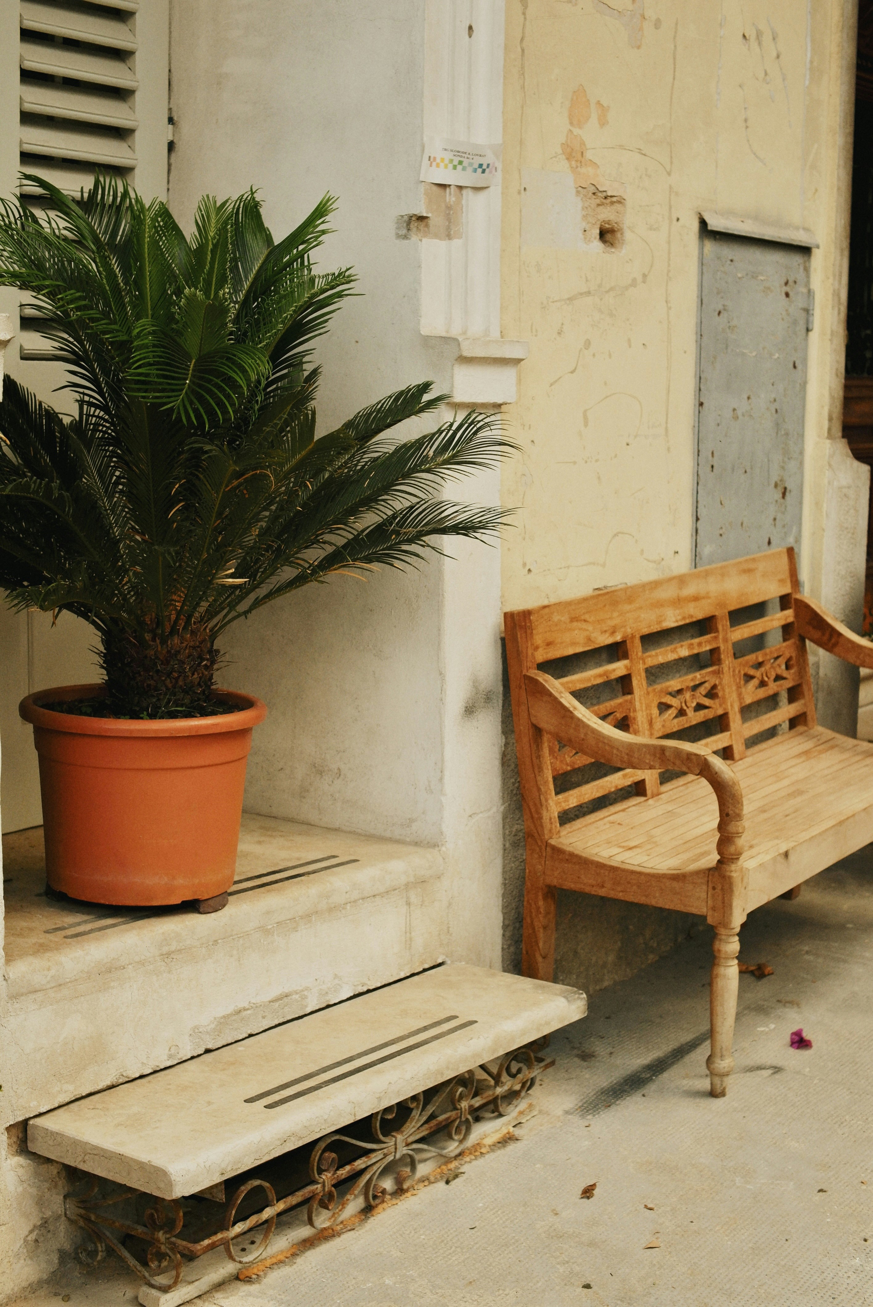 Terracotta Palm Framing a Quiet Porch Bench