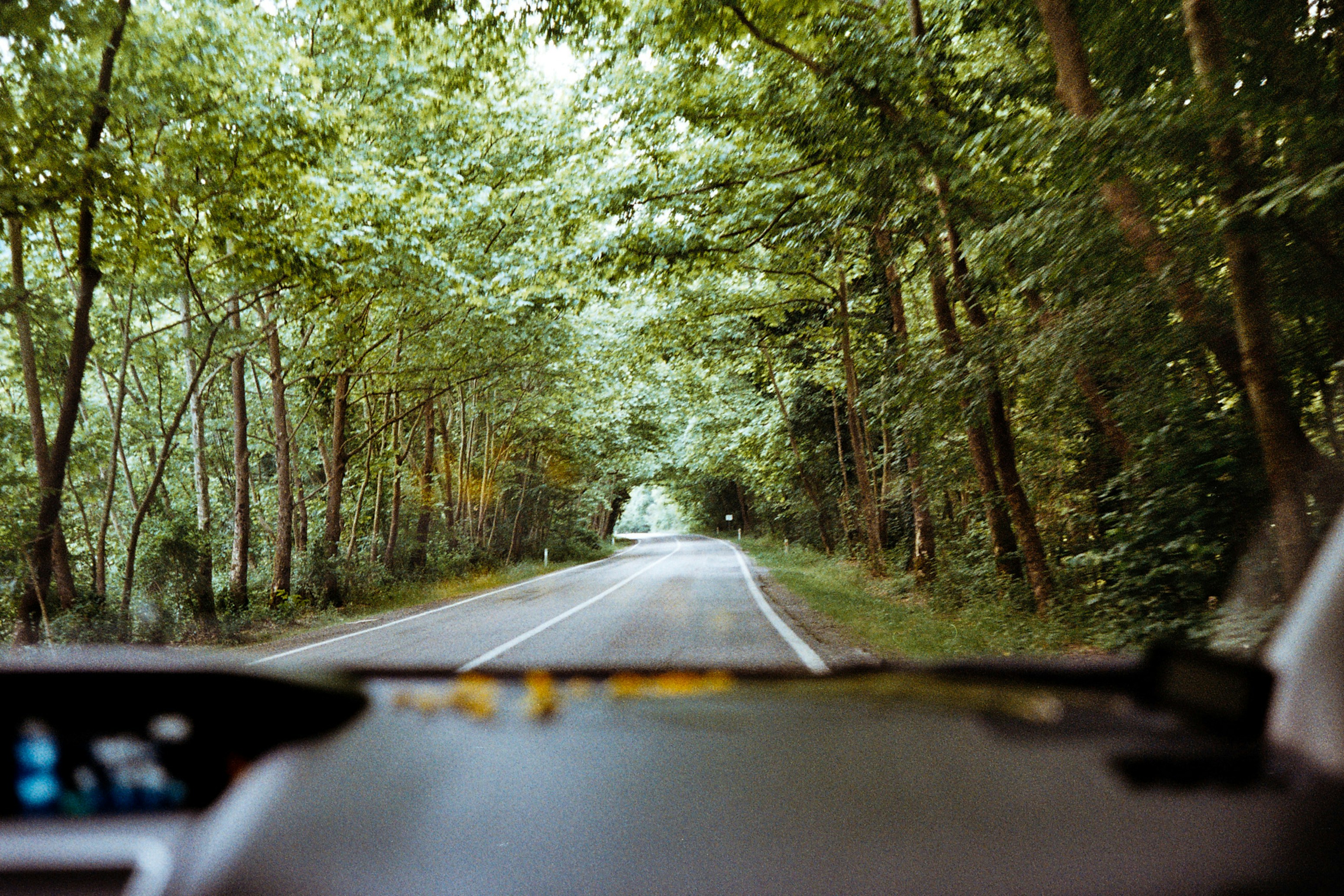 A car driving down a road surrounded by trees photo – Free Analog ...