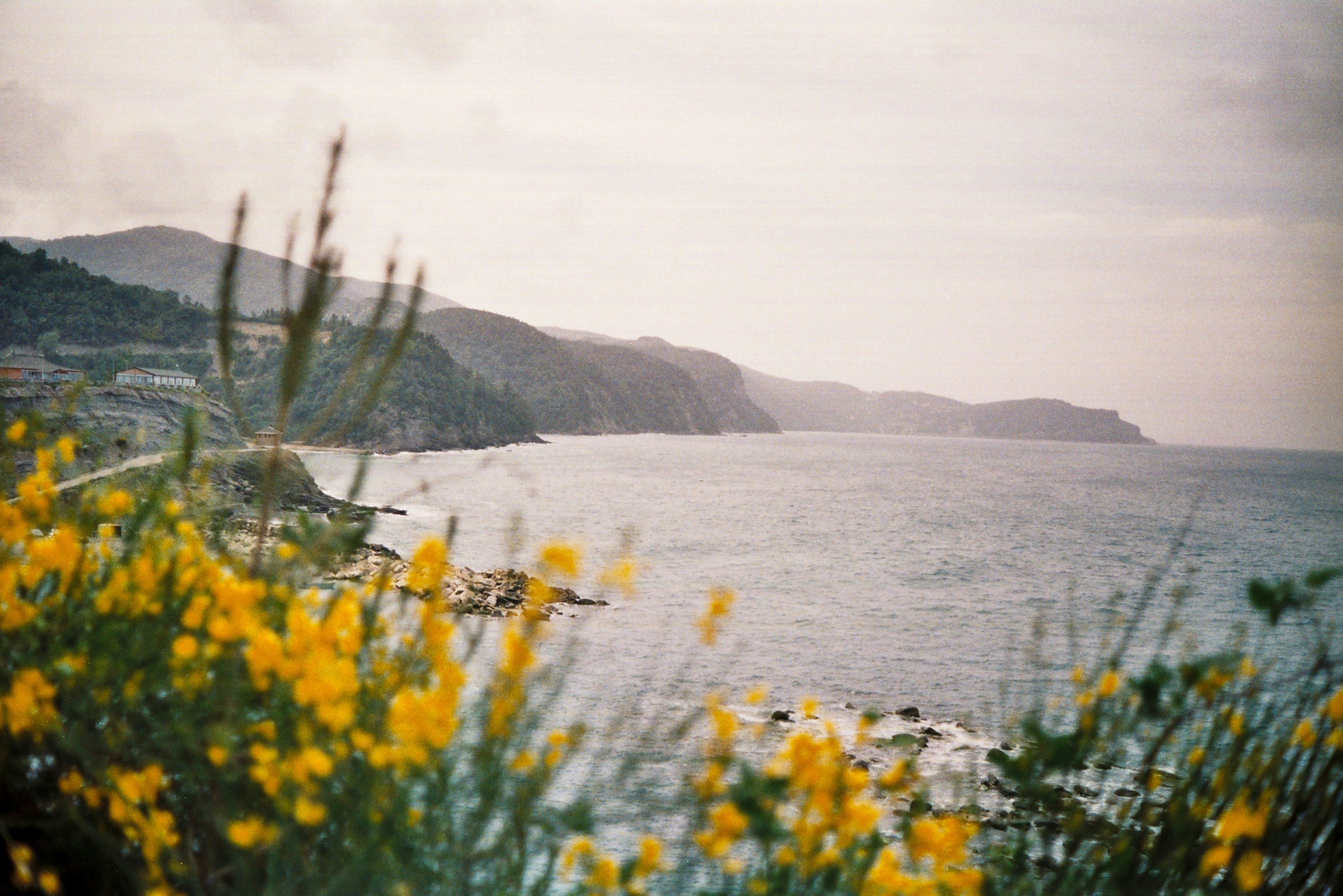 Kodak Ultramax 400 🎞️