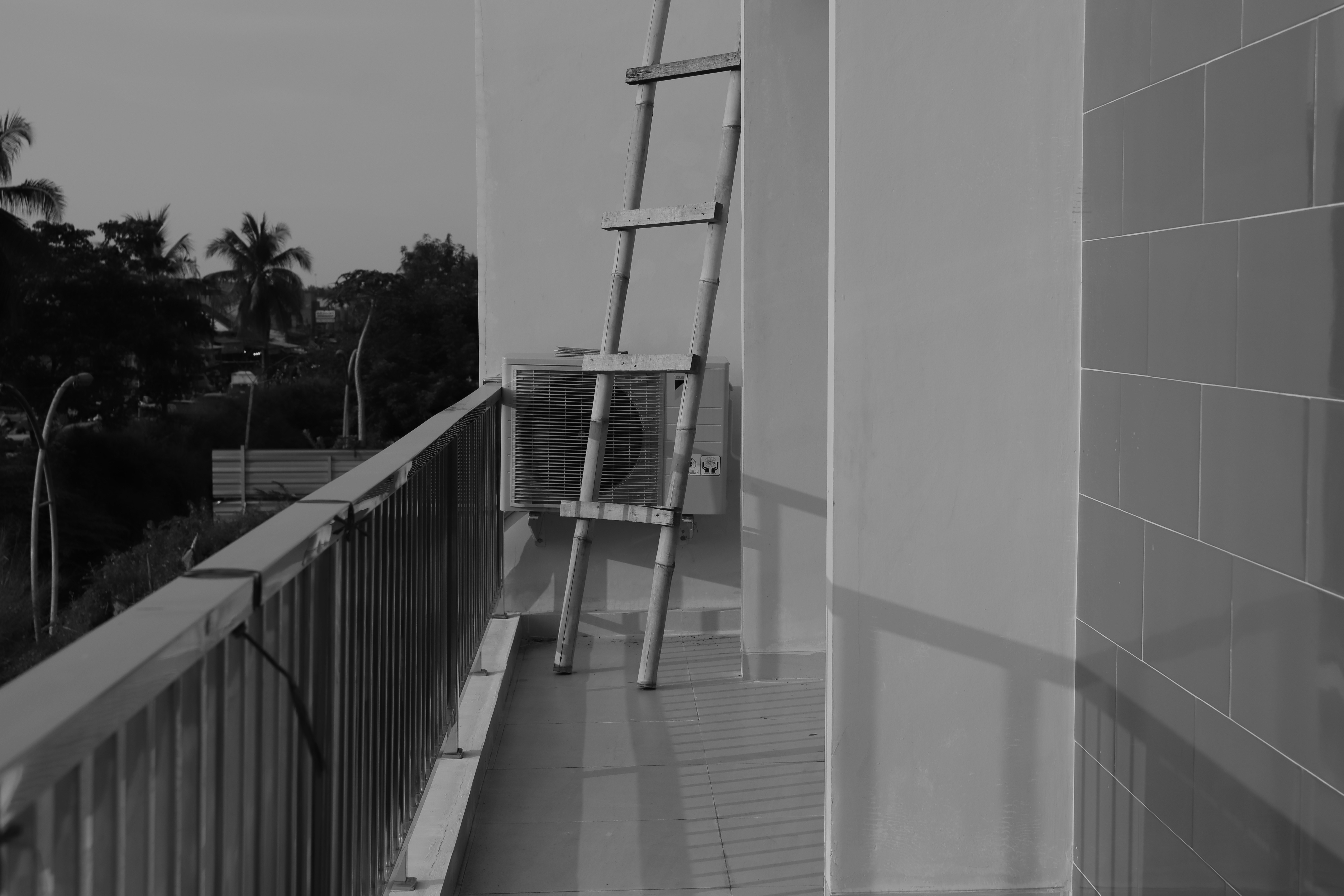 Ladder at the Edge: A Quiet Balcony Portrait in Gray