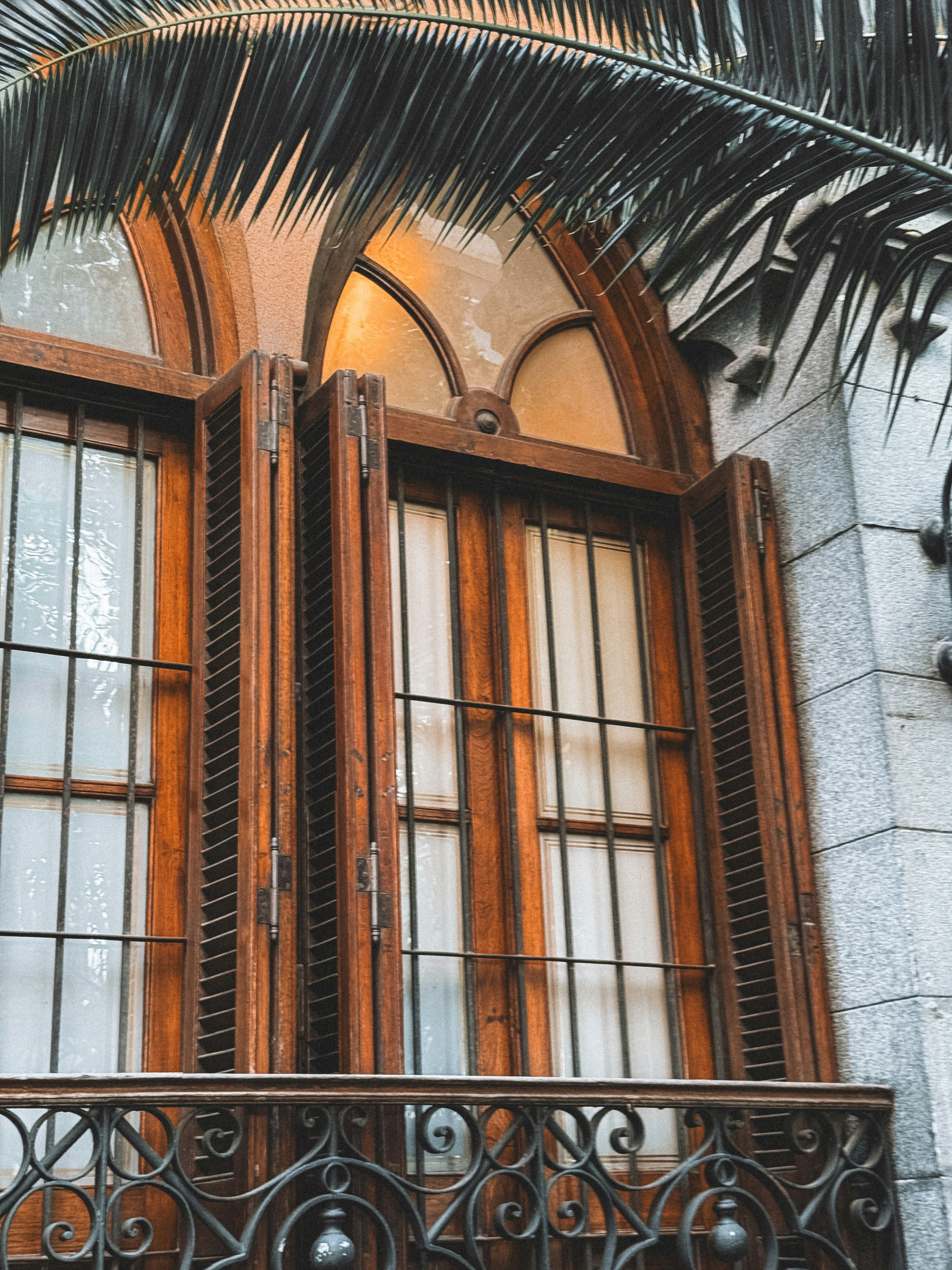 Arch Window Portrait: Sunlit Wood, Iron Balcony, and Palm Fronds