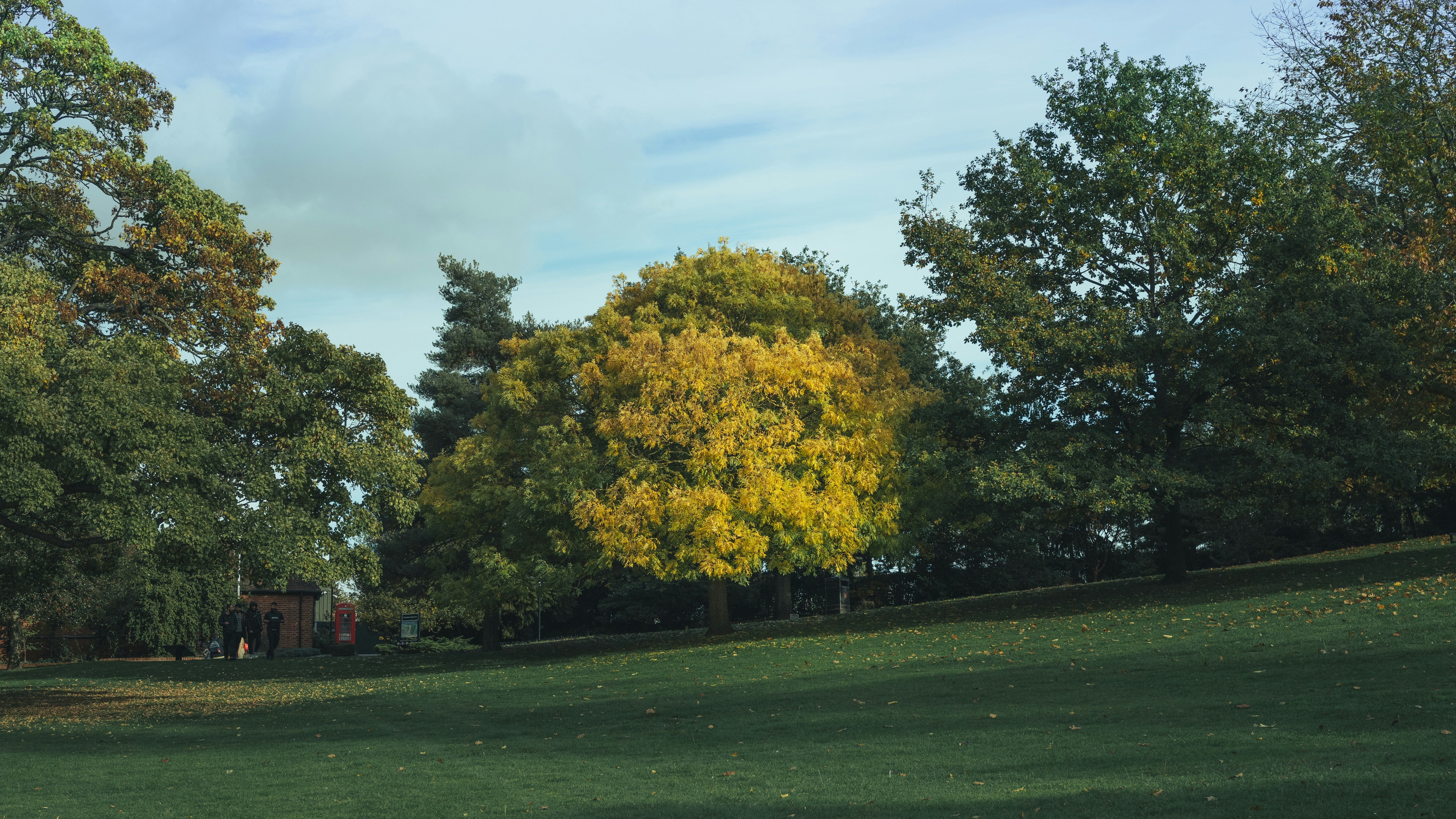 a sunlighted afternoon at University of Essex | A grassy field with trees in the background