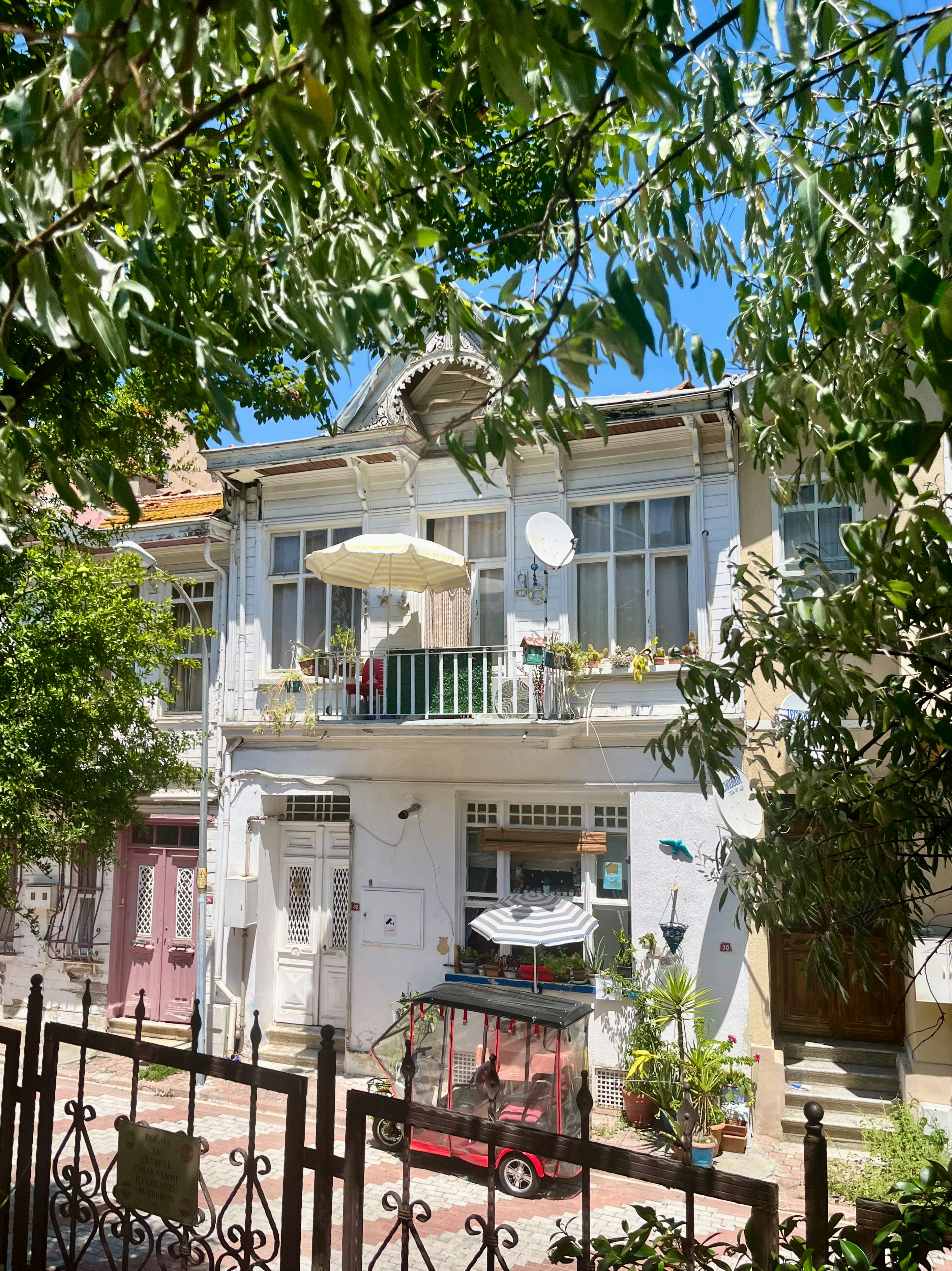 Sunlit Balcony Street: Verdant Framing Around a White Facade