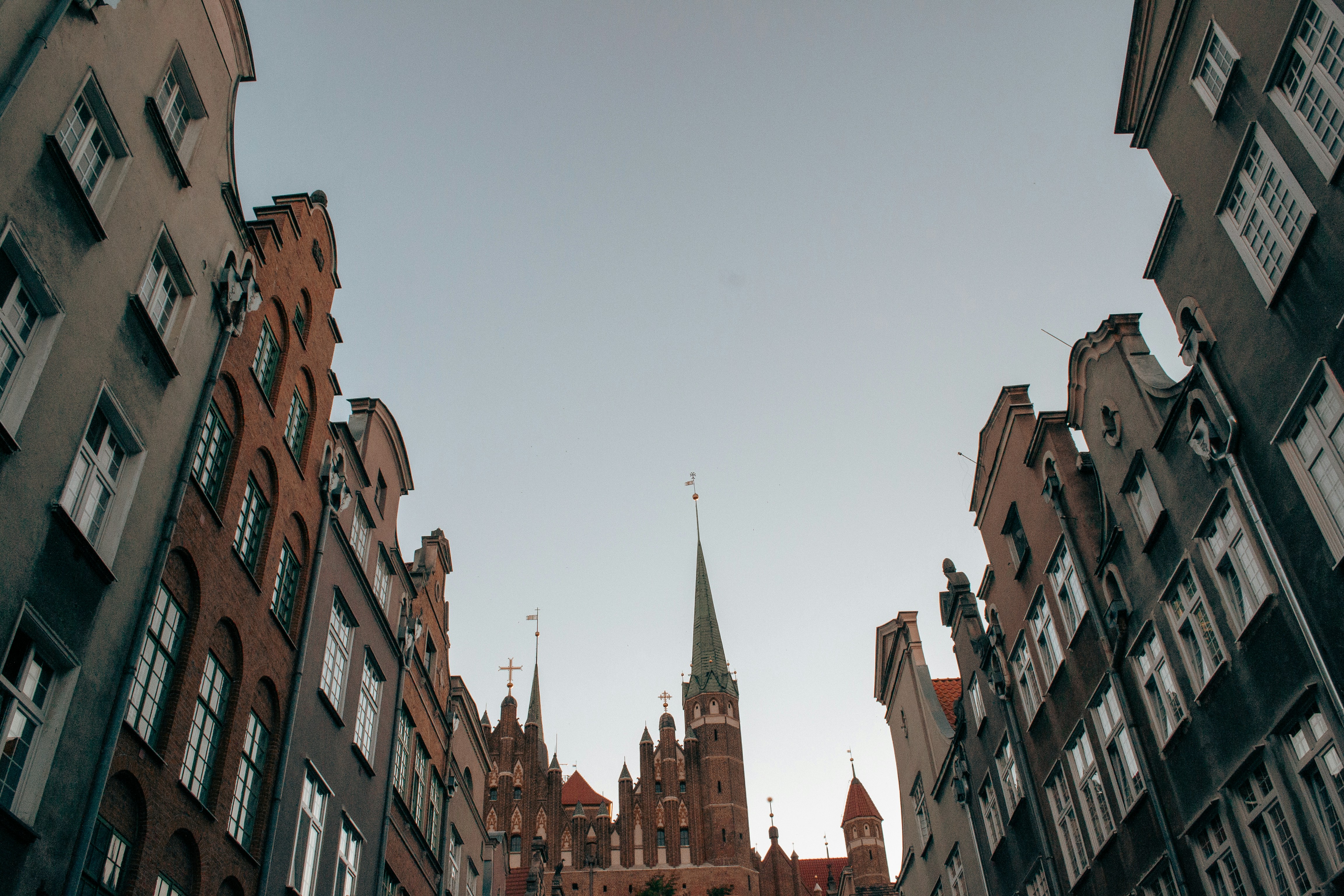 Photo by Małgorzata Romaniuk with Nikon D3100