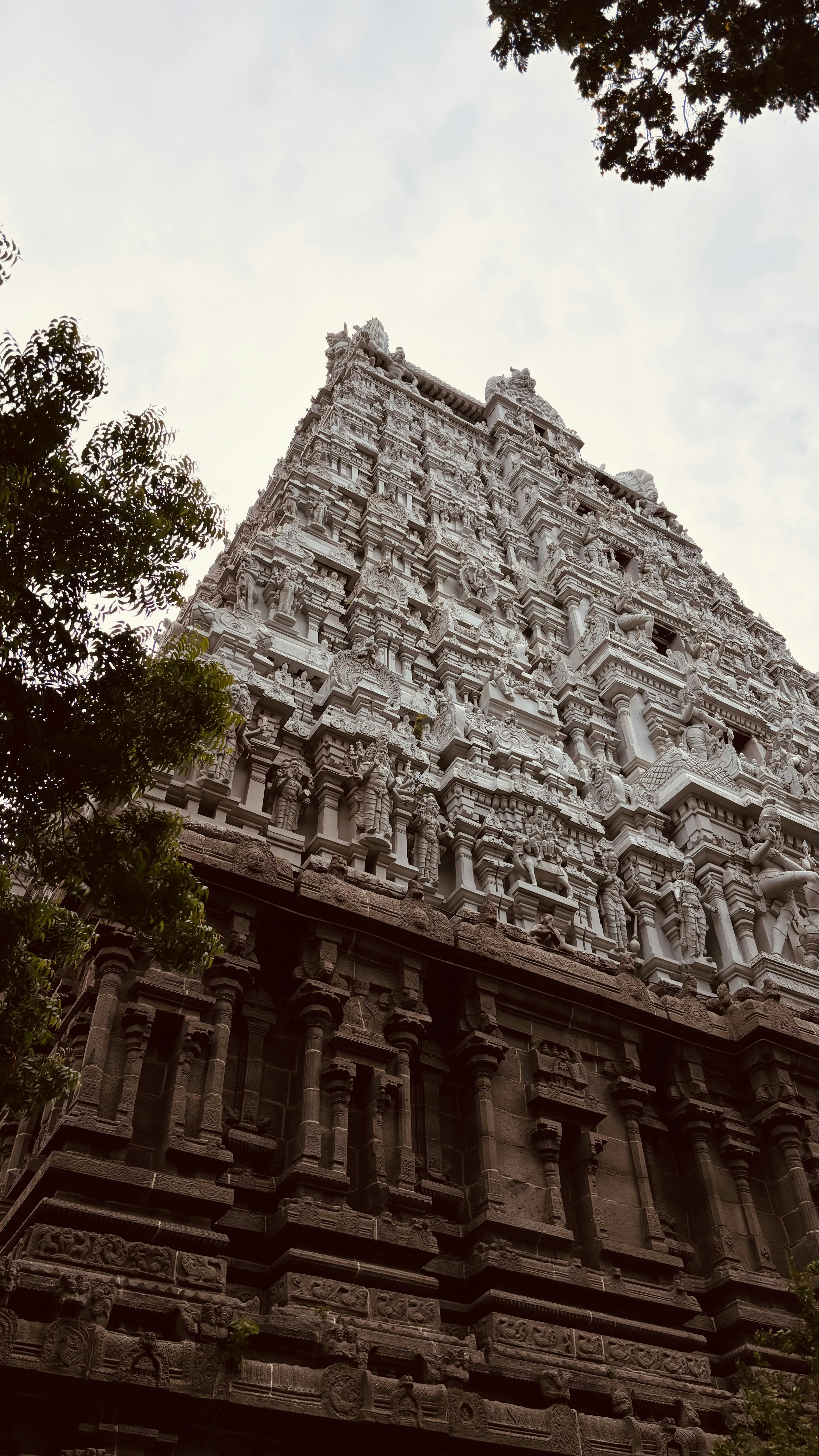 Photo by Vyshnavi Palagummi with Apple iPhone 15