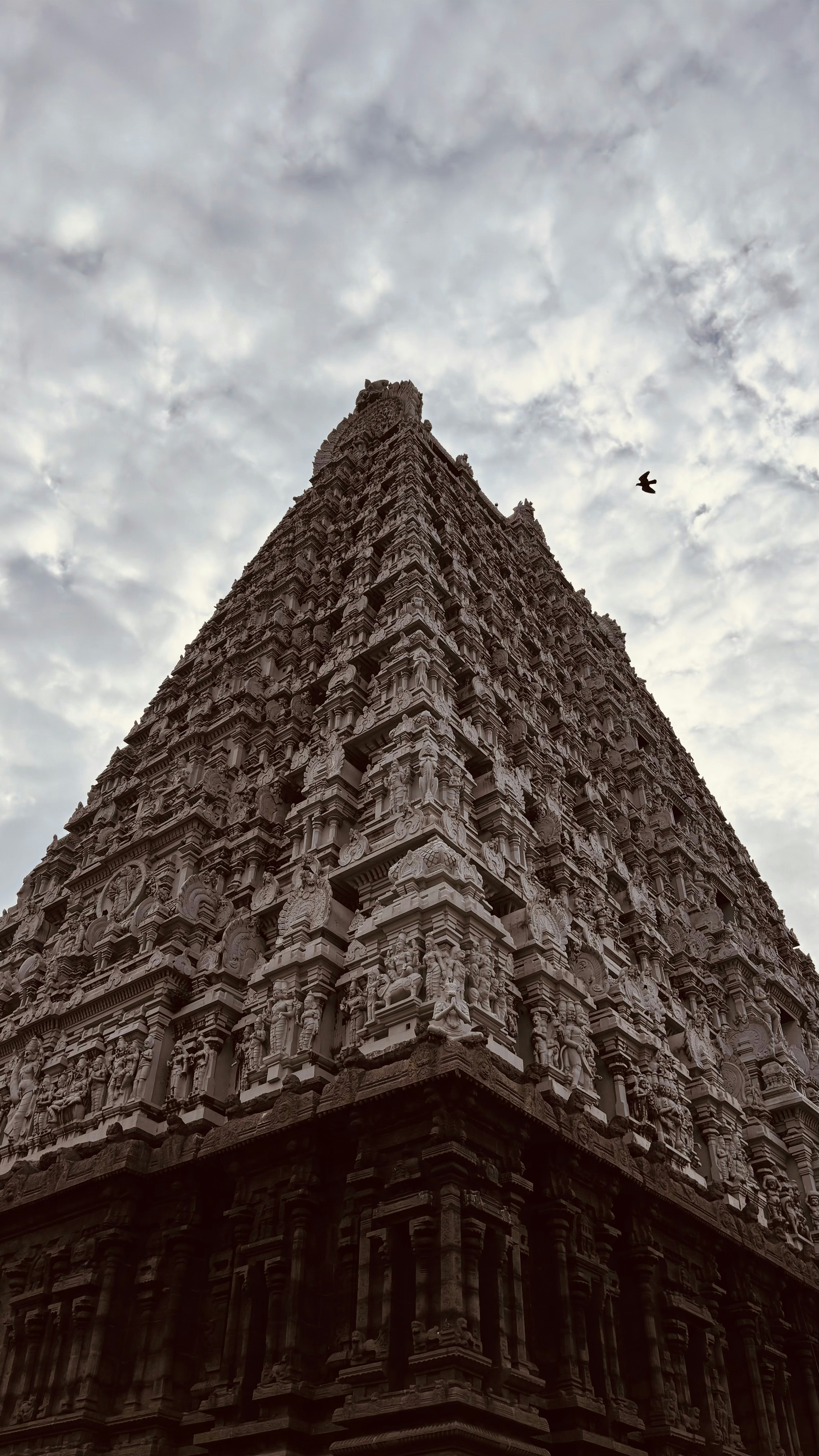 Photo by Vyshnavi Palagummi with Apple iPhone 15