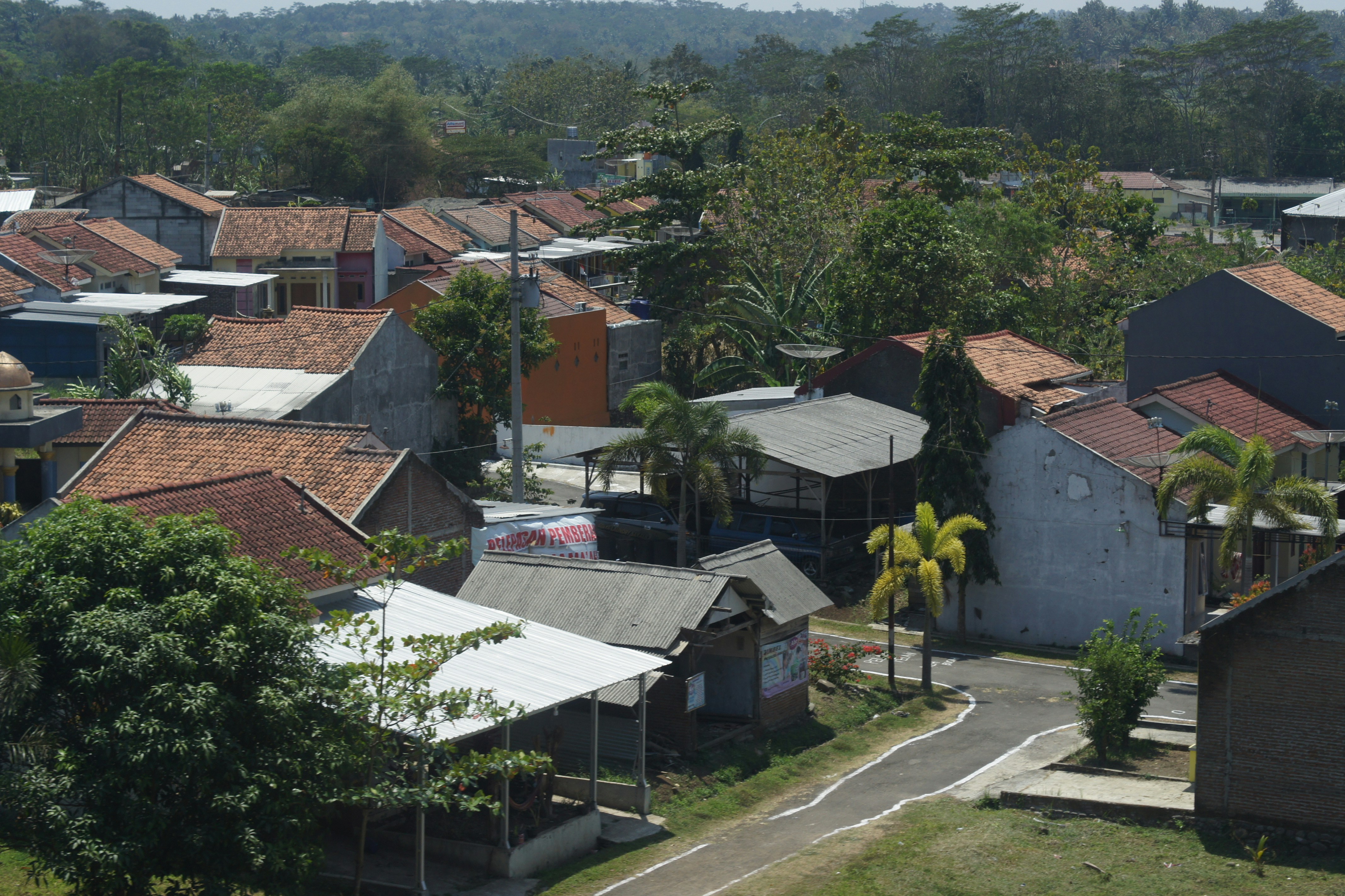 Colorful rooftops and lush greenery create a serene urban landscape in a small town. The scene captures the essence of community living.