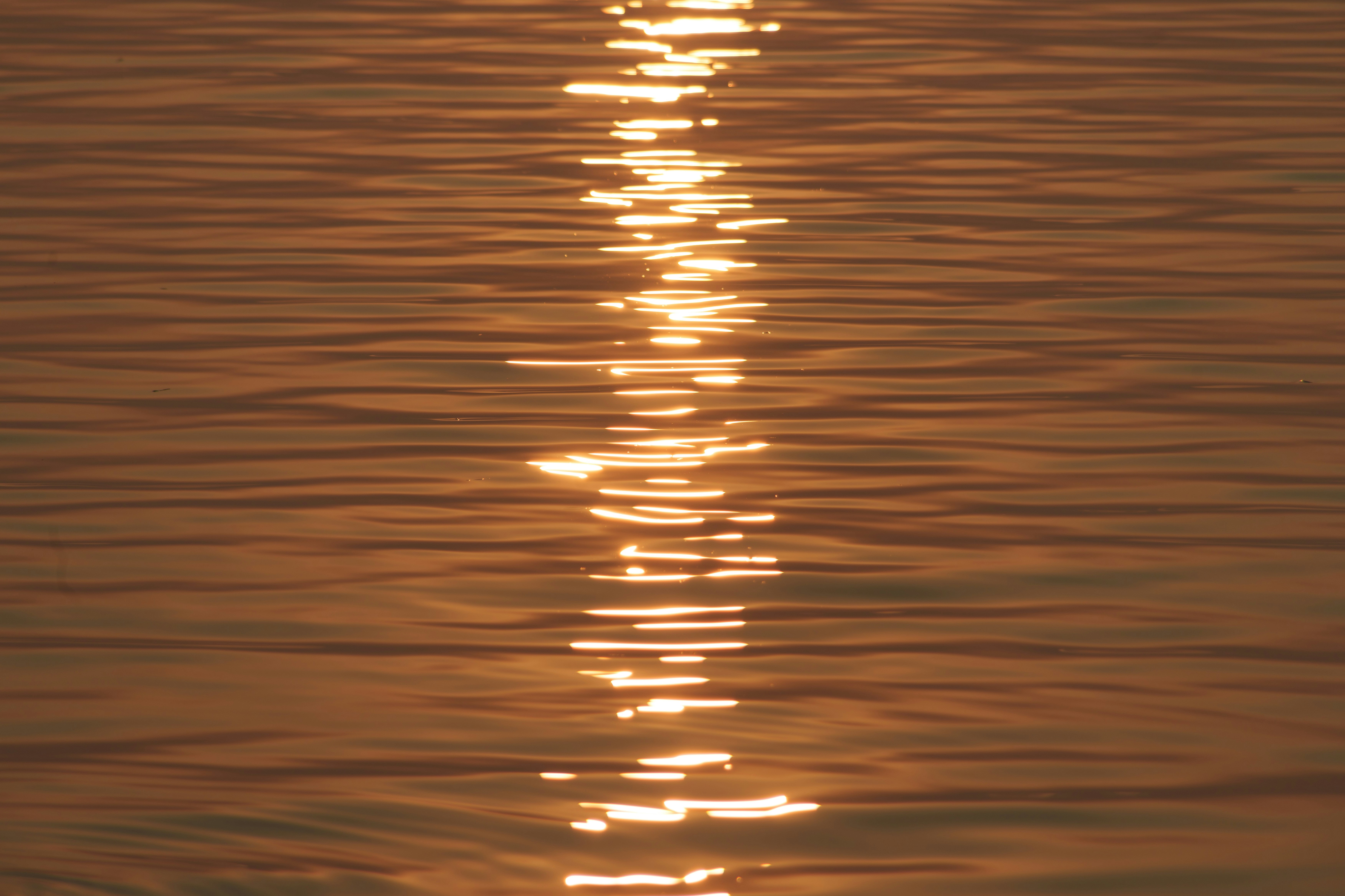 A body of water with the sun reflecting off of the water photo – Free ...