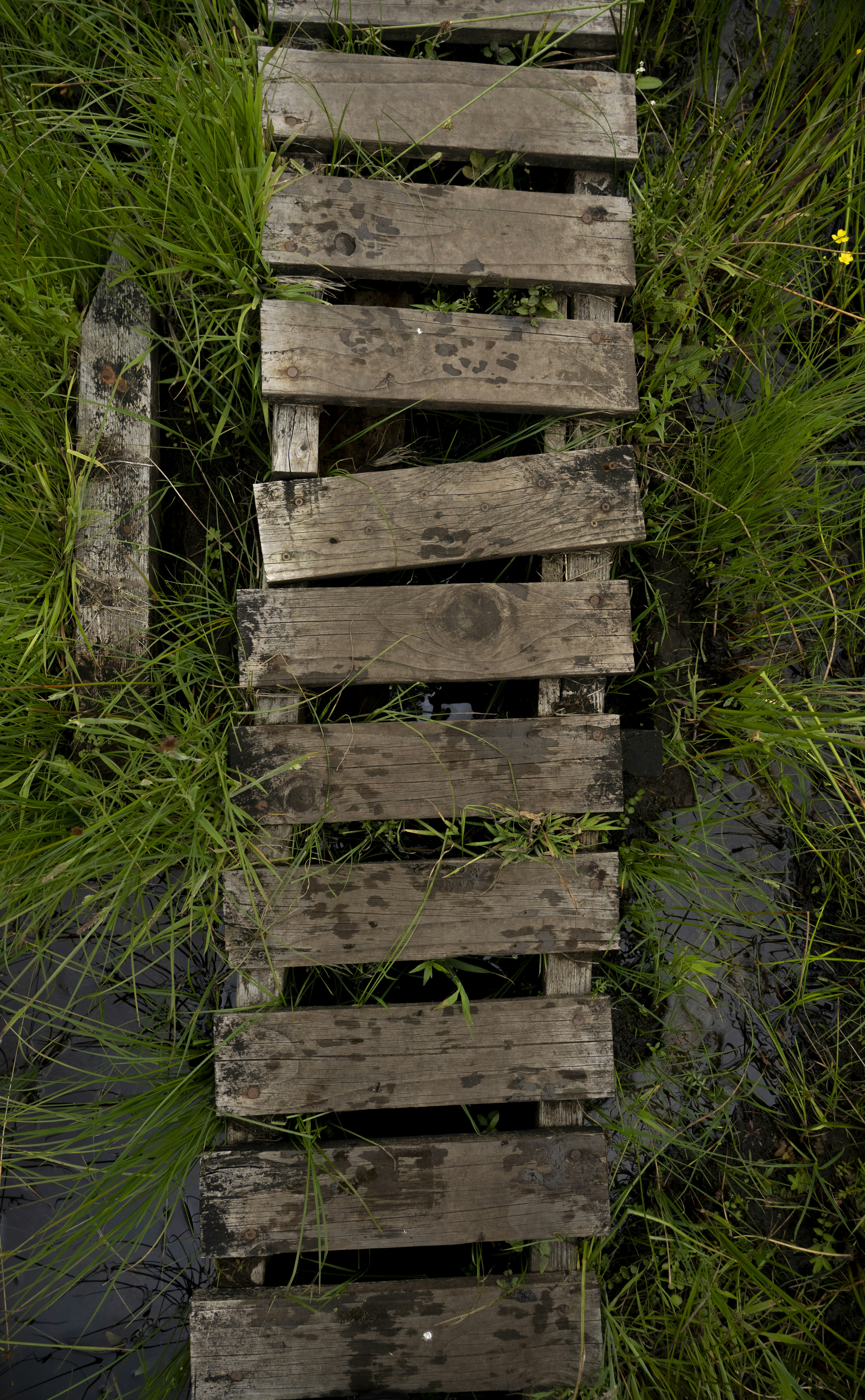 A boardwalk on a remote boggy path on the west coast of Scotland. | A wooden crate sitting on top of a lush green field