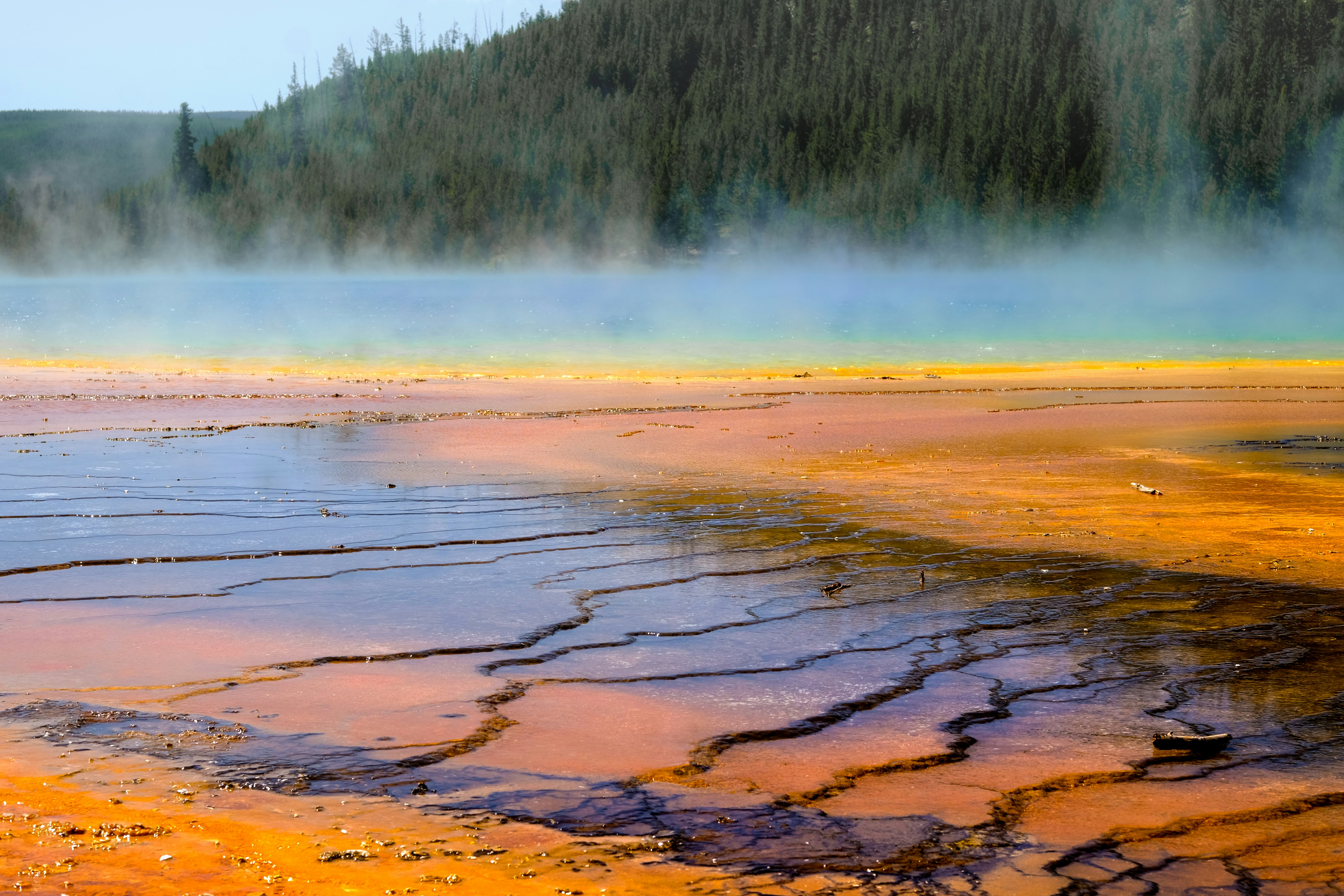 Vivid Thermal Plain: Terraced Ground Under Mist