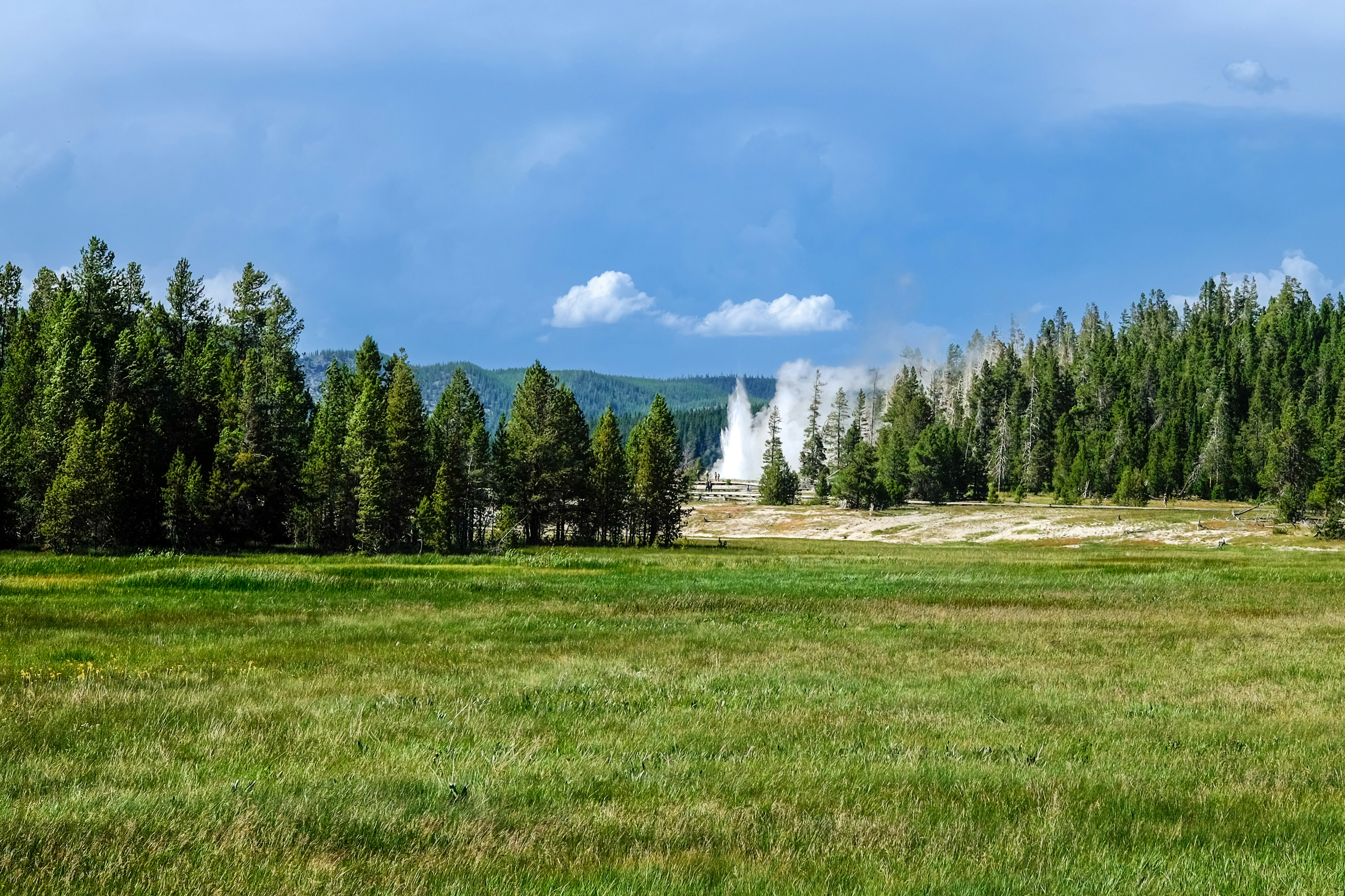 Emerald Meadows and Whispering Geysers
