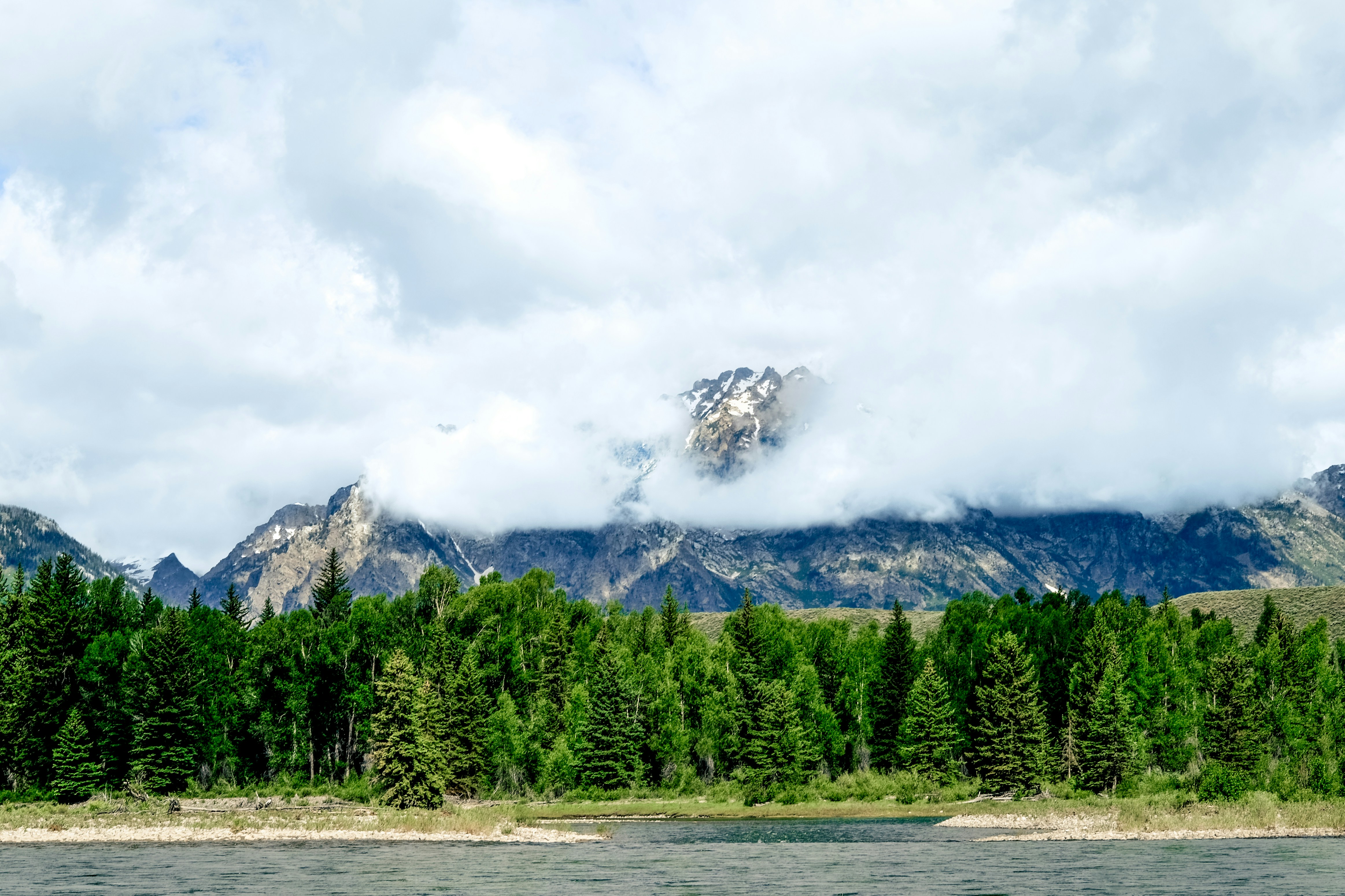 Forestline at the Lake: Mountains Emerging from a Cloud Mist
