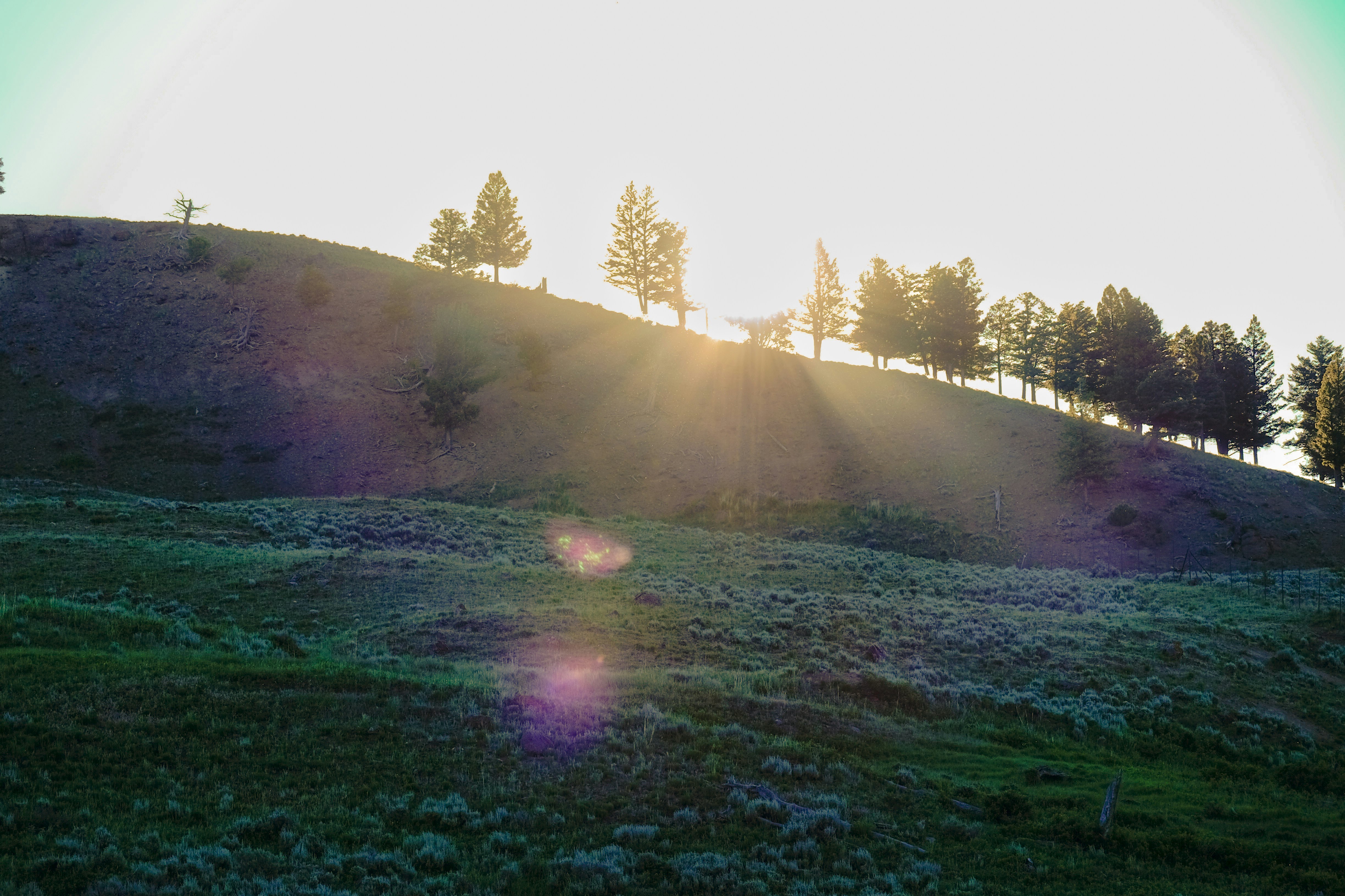 Ben Wilkins (@btwilkins) | Komunitas Foto Unsplash