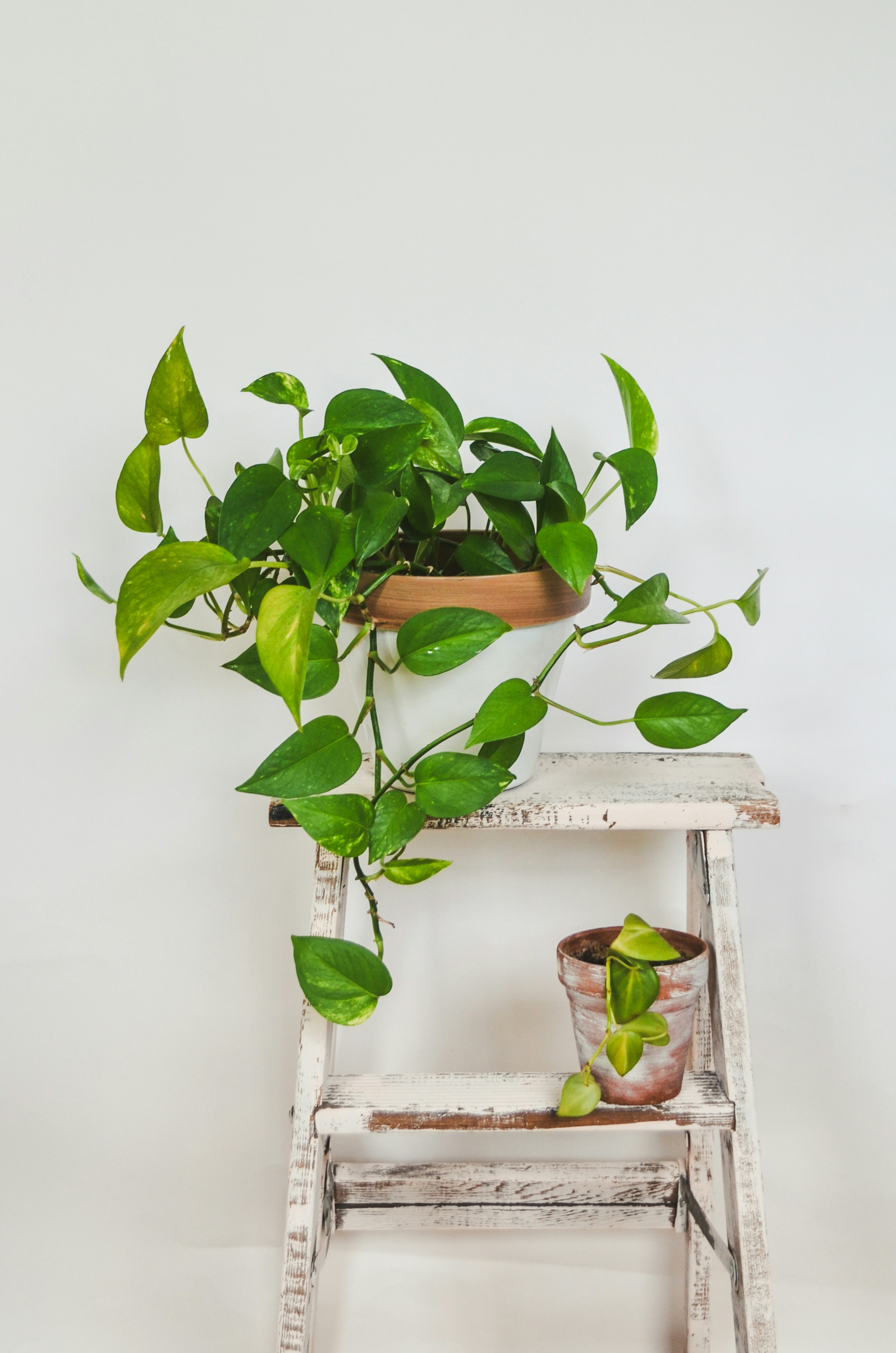 Photo by Debby Hudson with Nikon D5100