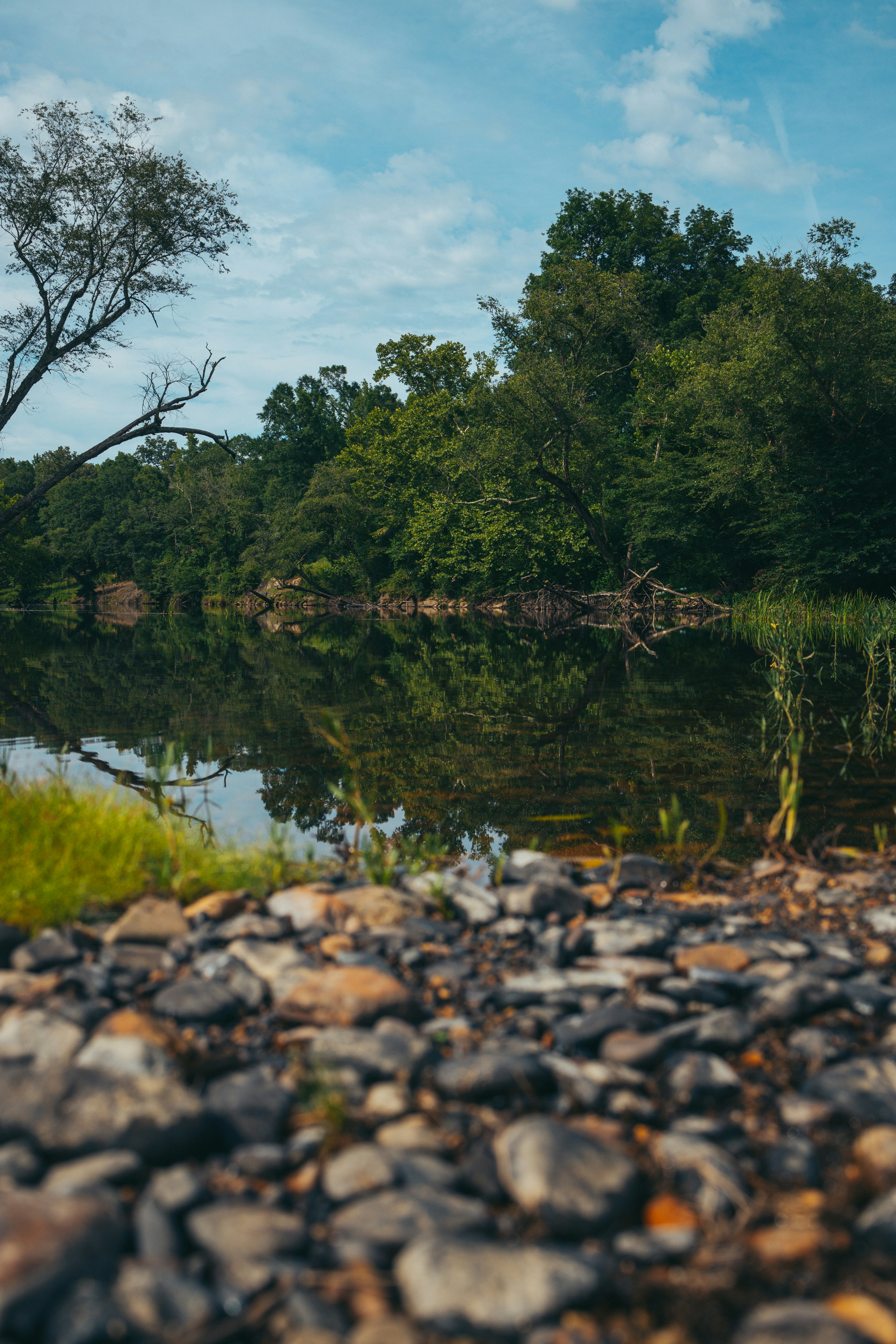 A body of water surrounded by rocks and trees photo – Free Landscape ...