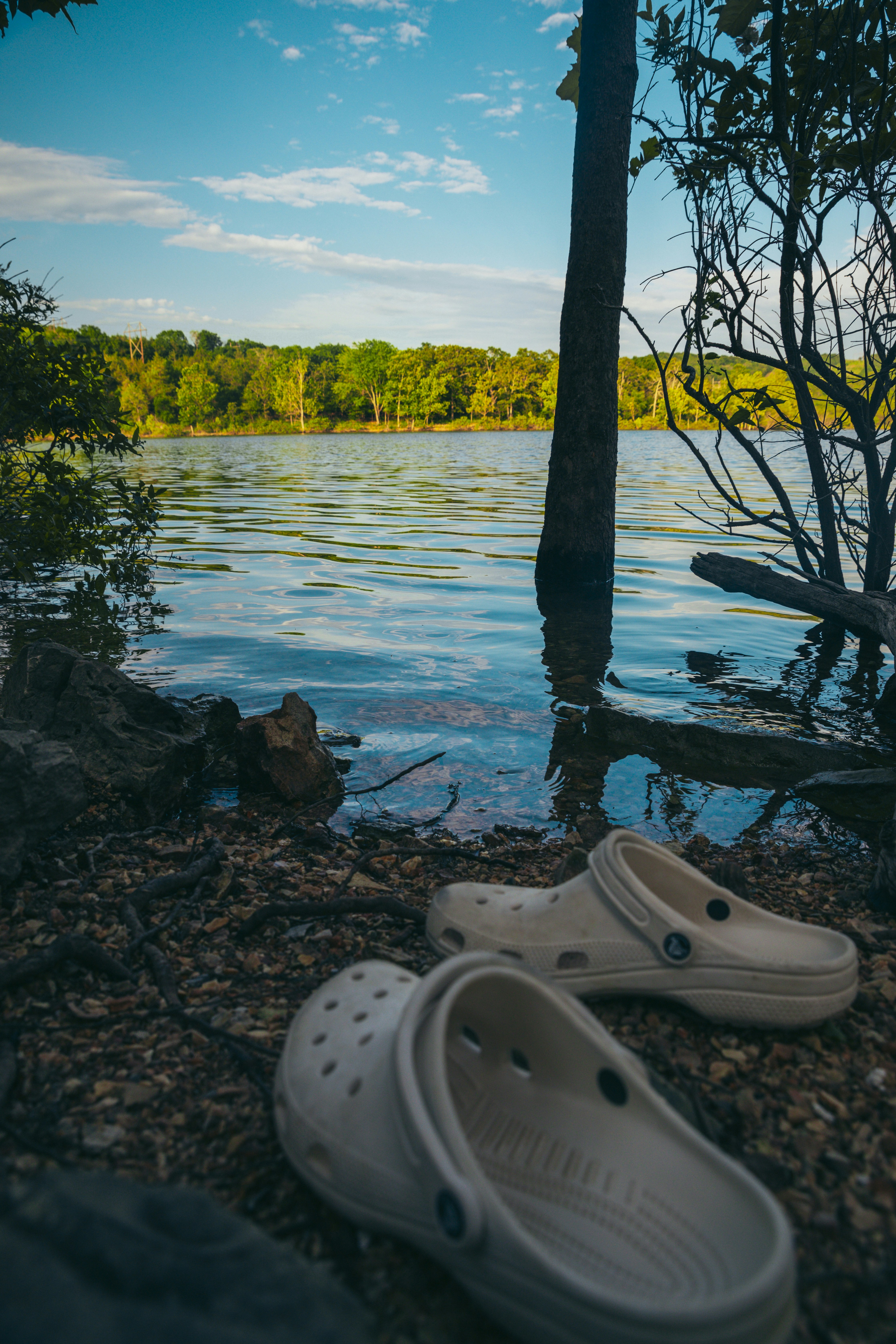 Crocs Pictures | Download Free Images on Unsplash