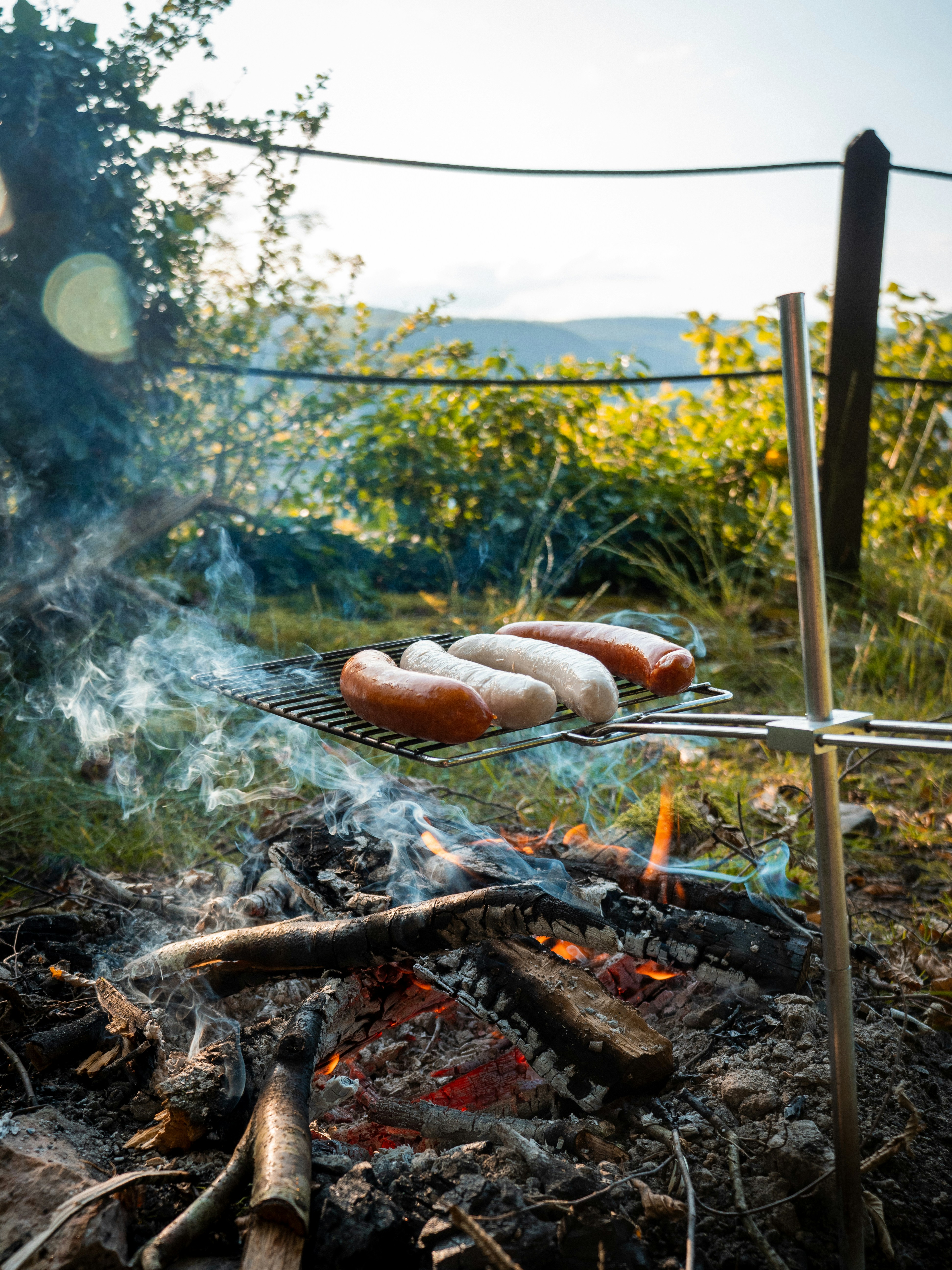Sausages on a Smoky Campfire Grill Amid Rustic Vineyard Landscape