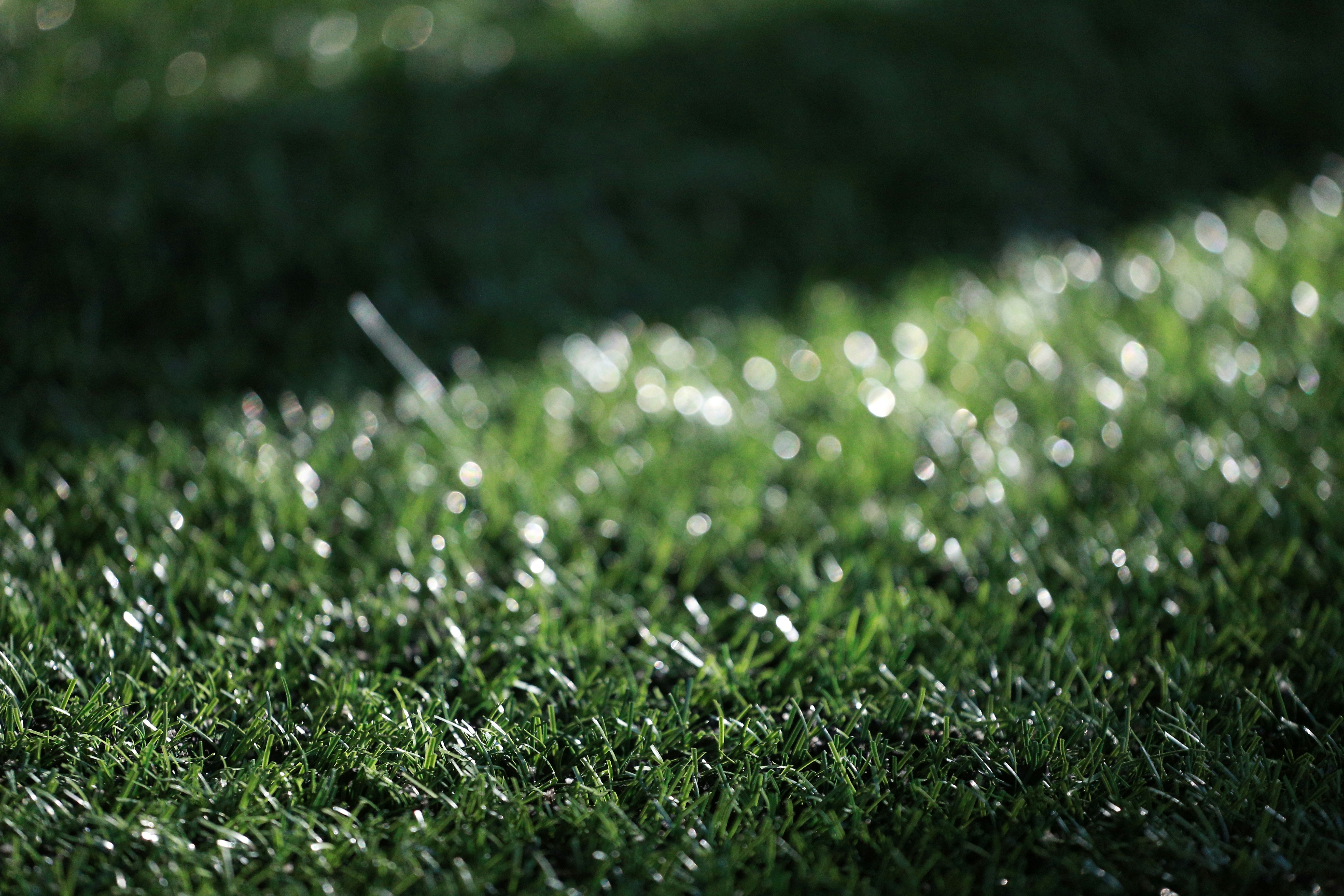 Football Texture Pictures | Download Free Images on Unsplash