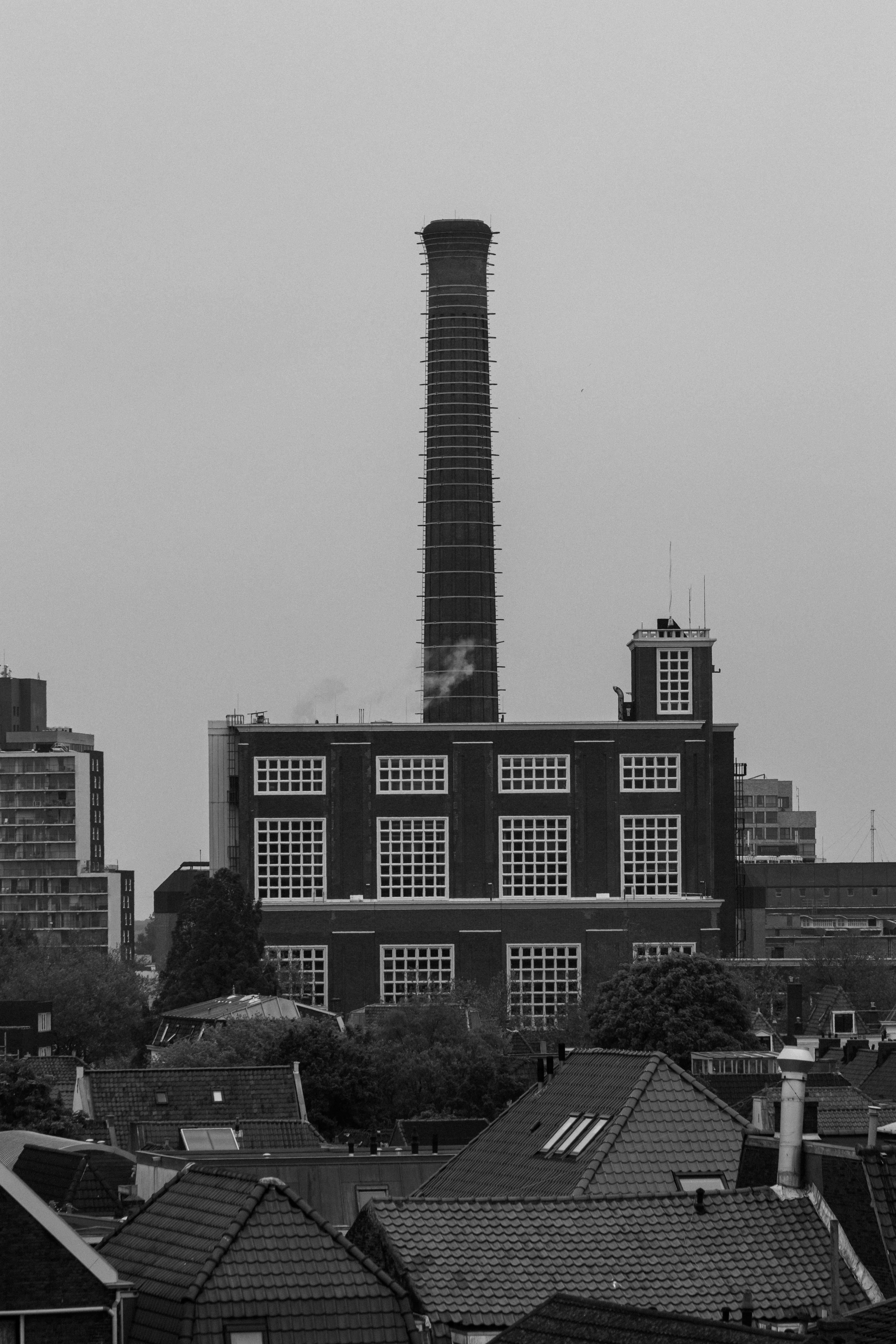 Photo by Haytham Okla with Canon EOS 77D