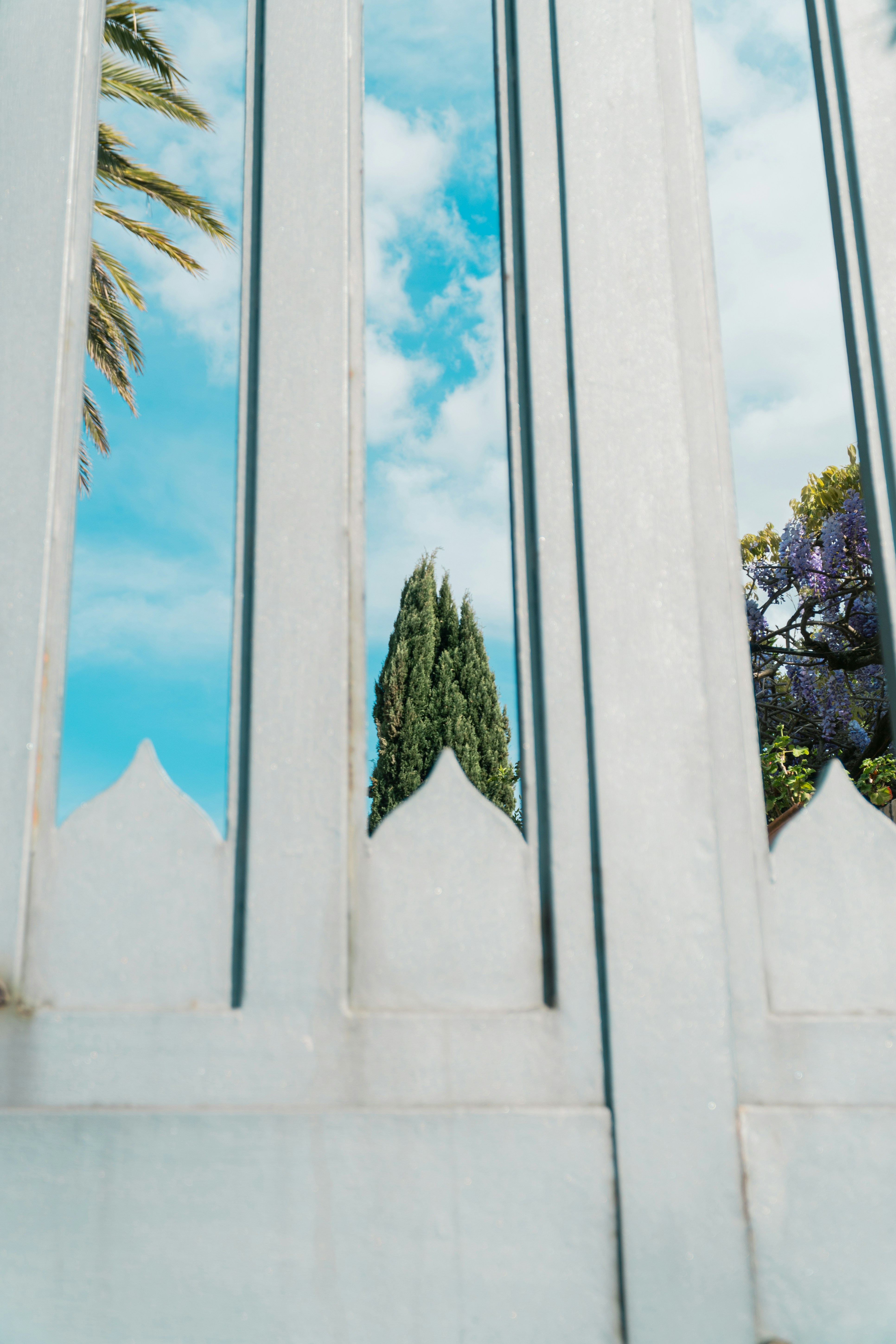 Azure Gap Through Serrated Columns: Sky, Palm, and Conifers in View