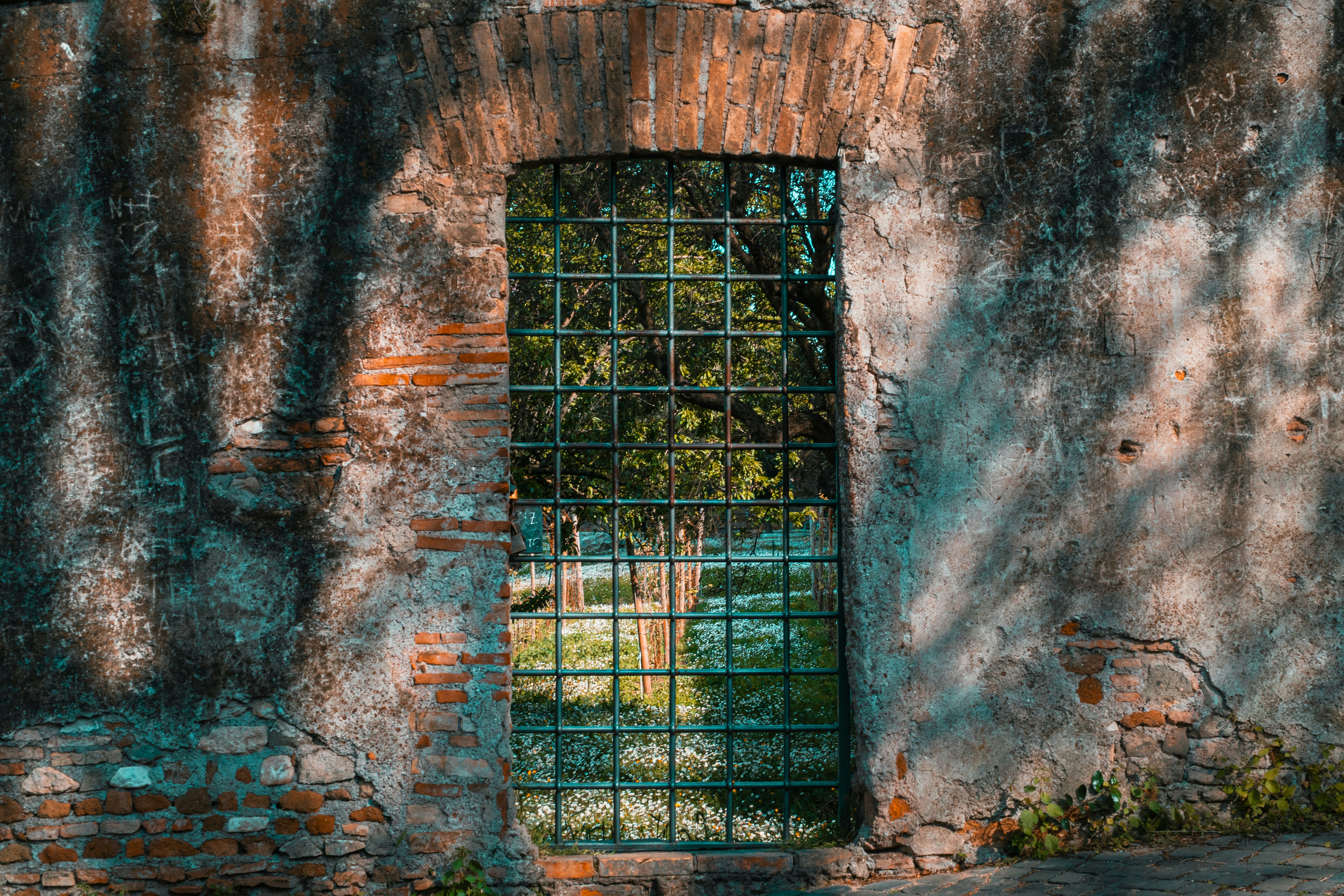 Photo by Kyle Bushnell with Sony Alpha 6400