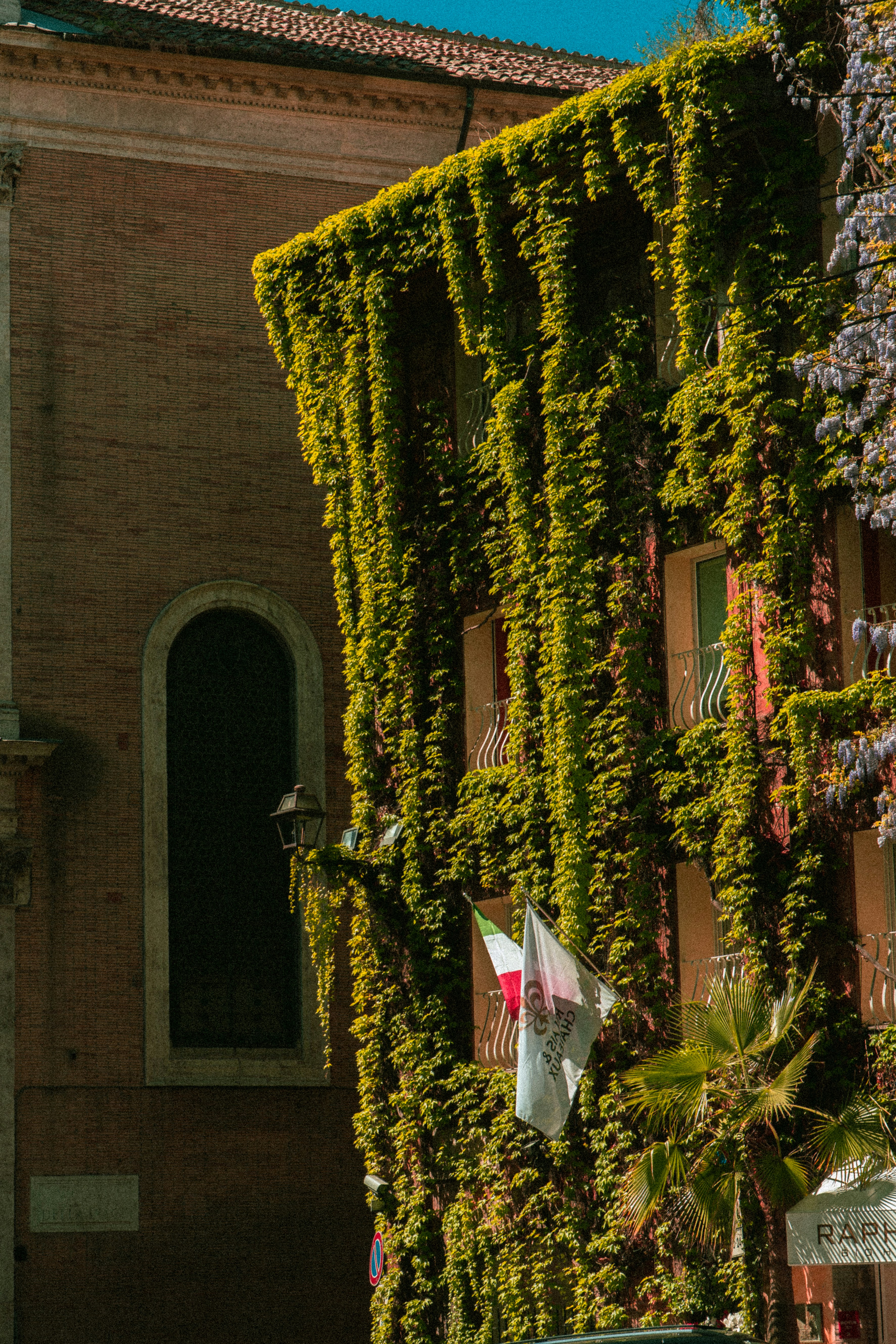 Ivy-clad façade and flags along a sunlit European street
