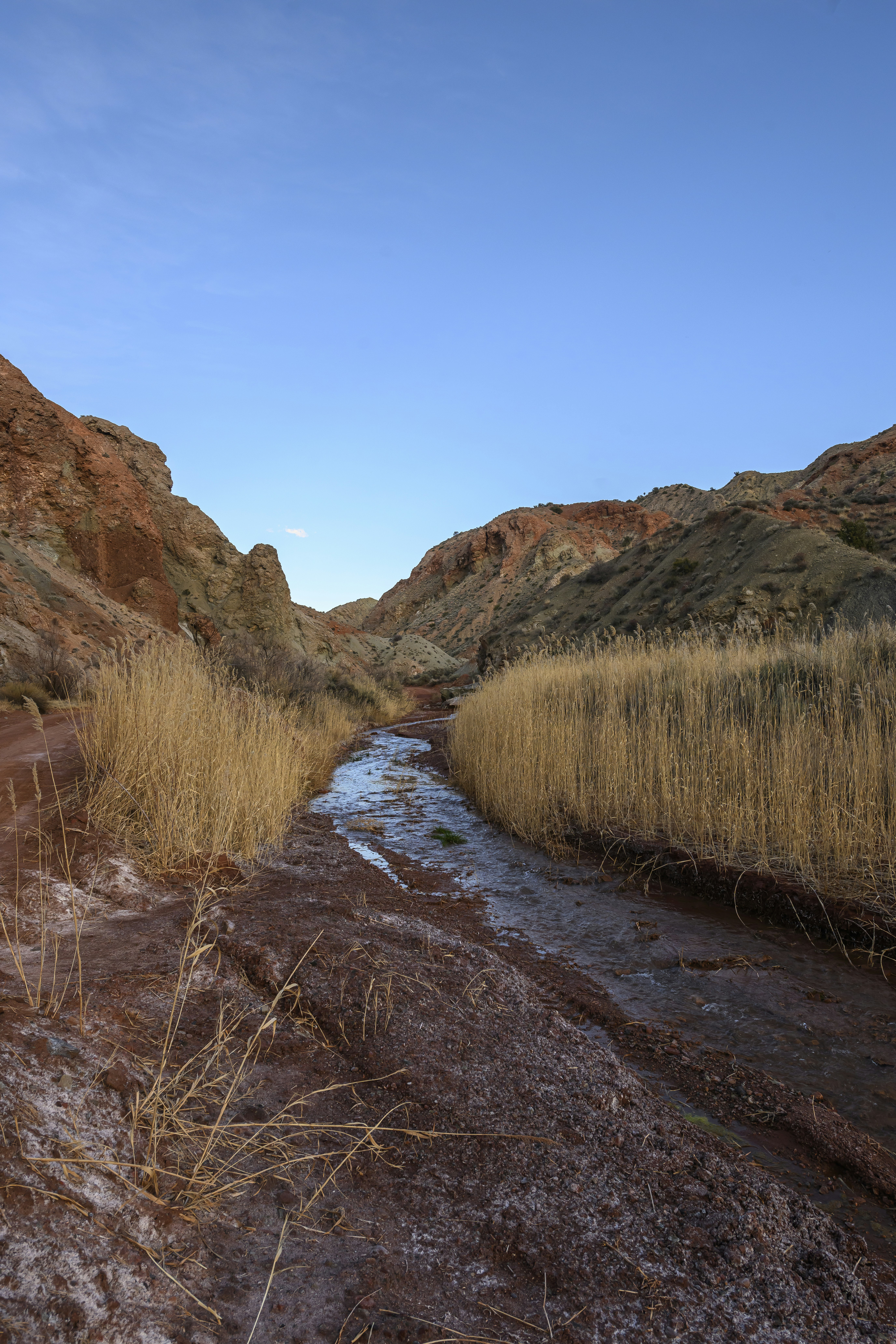 A stream running through a dry grass covered field photo – Free Blue ...