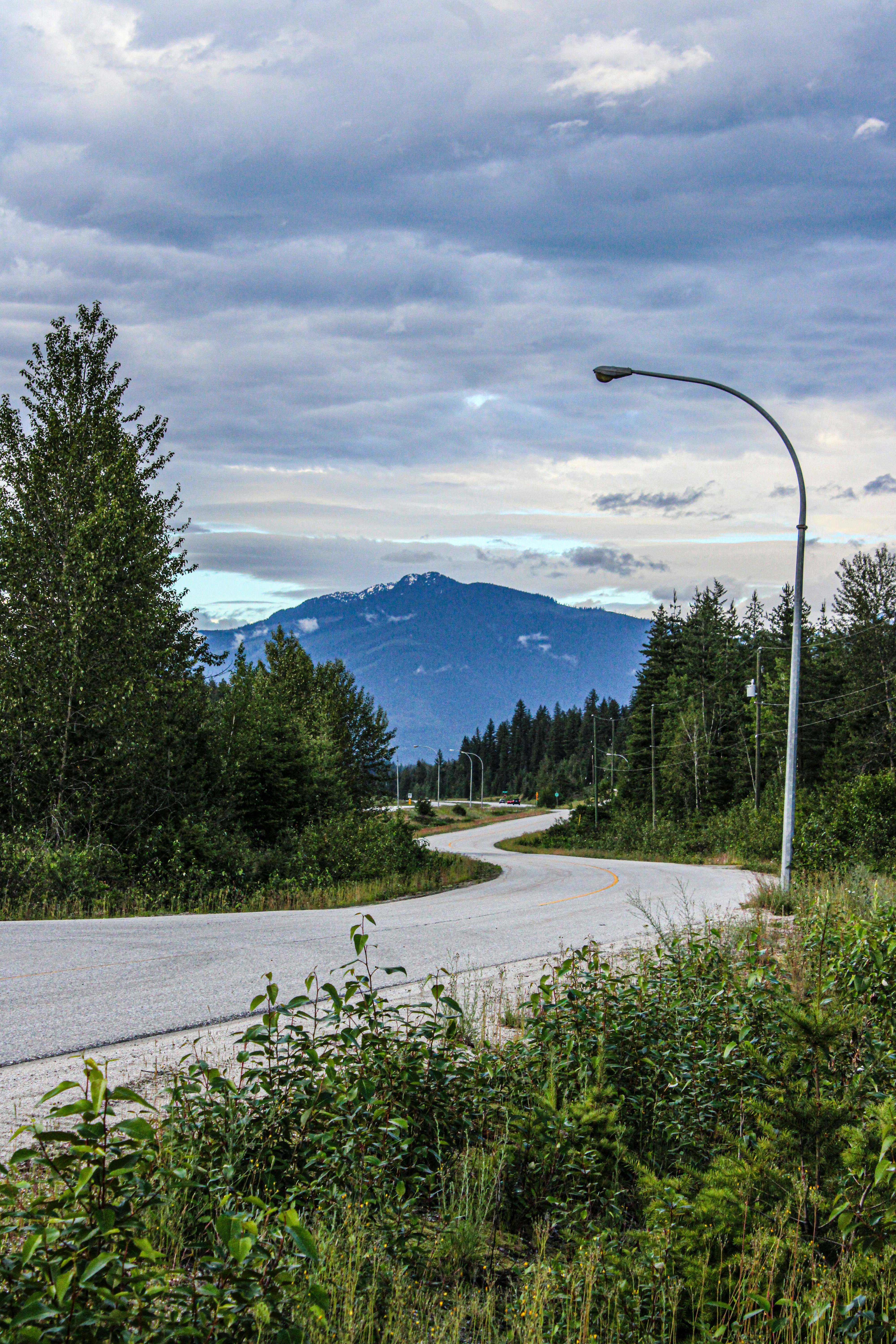 Winding Lane Toward a Misty Mountain Ridge
