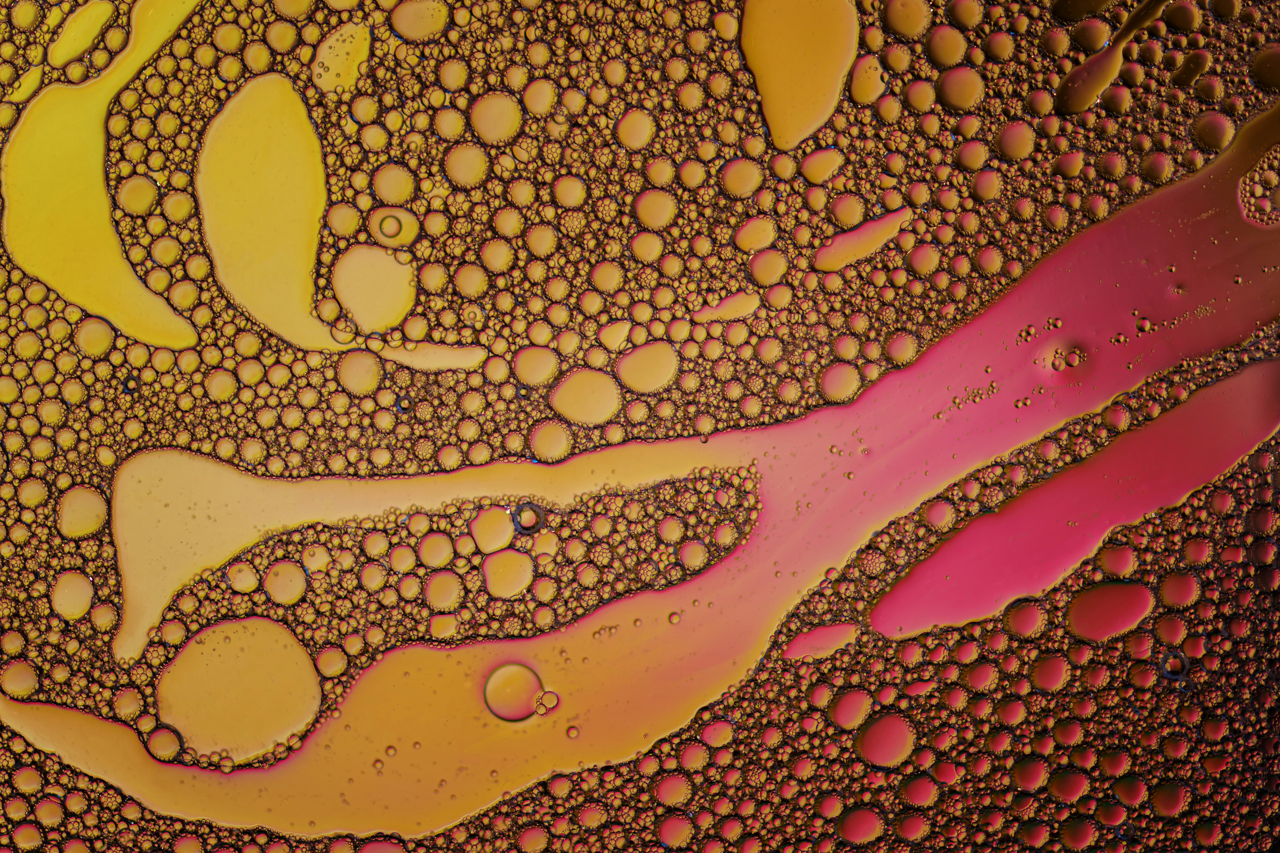 A close up of a yellow and pink substance photo – Free Cellular Image ...