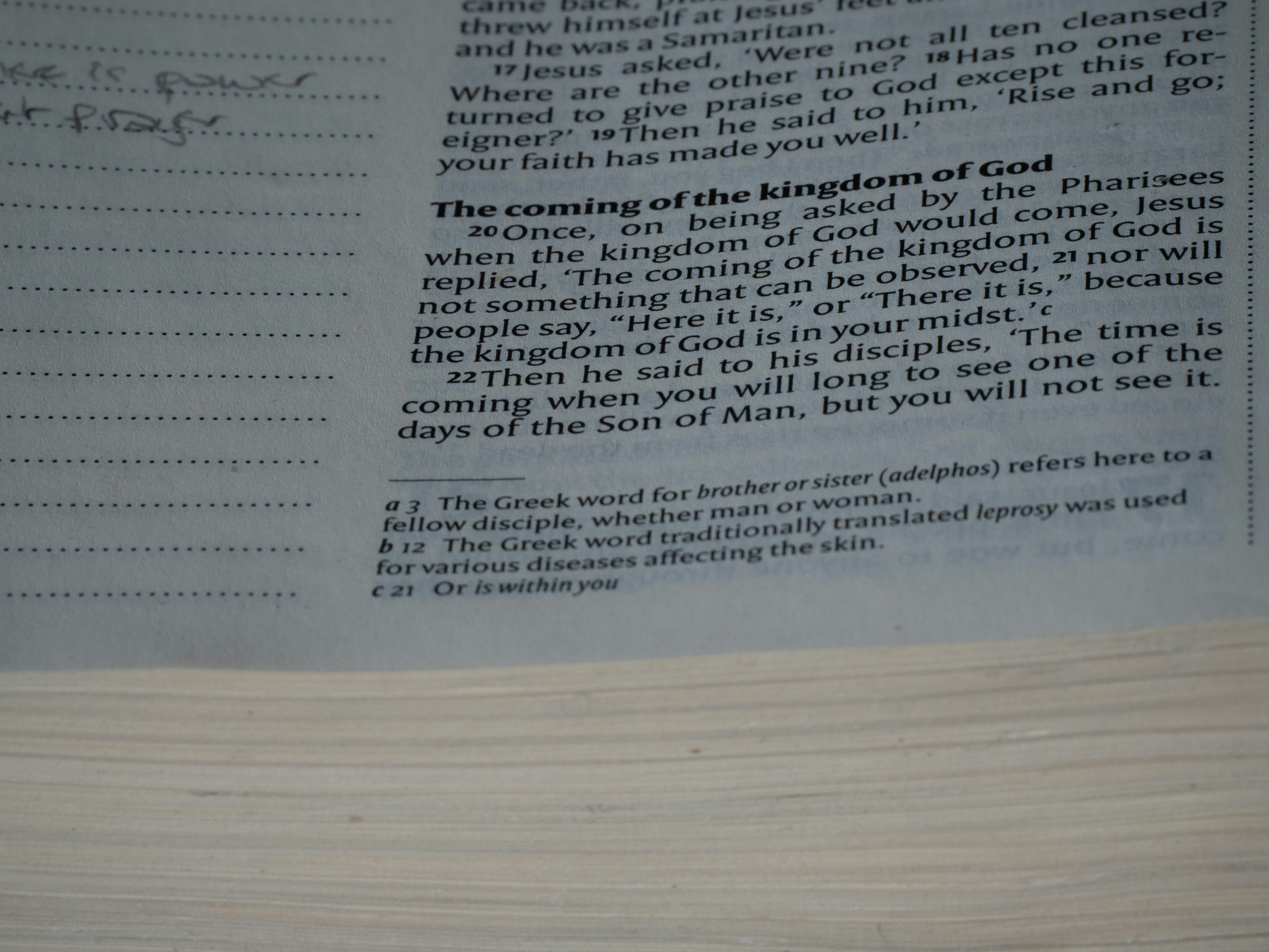 Top 7 Kindle Unlimited Membership Alternatives for Power Users