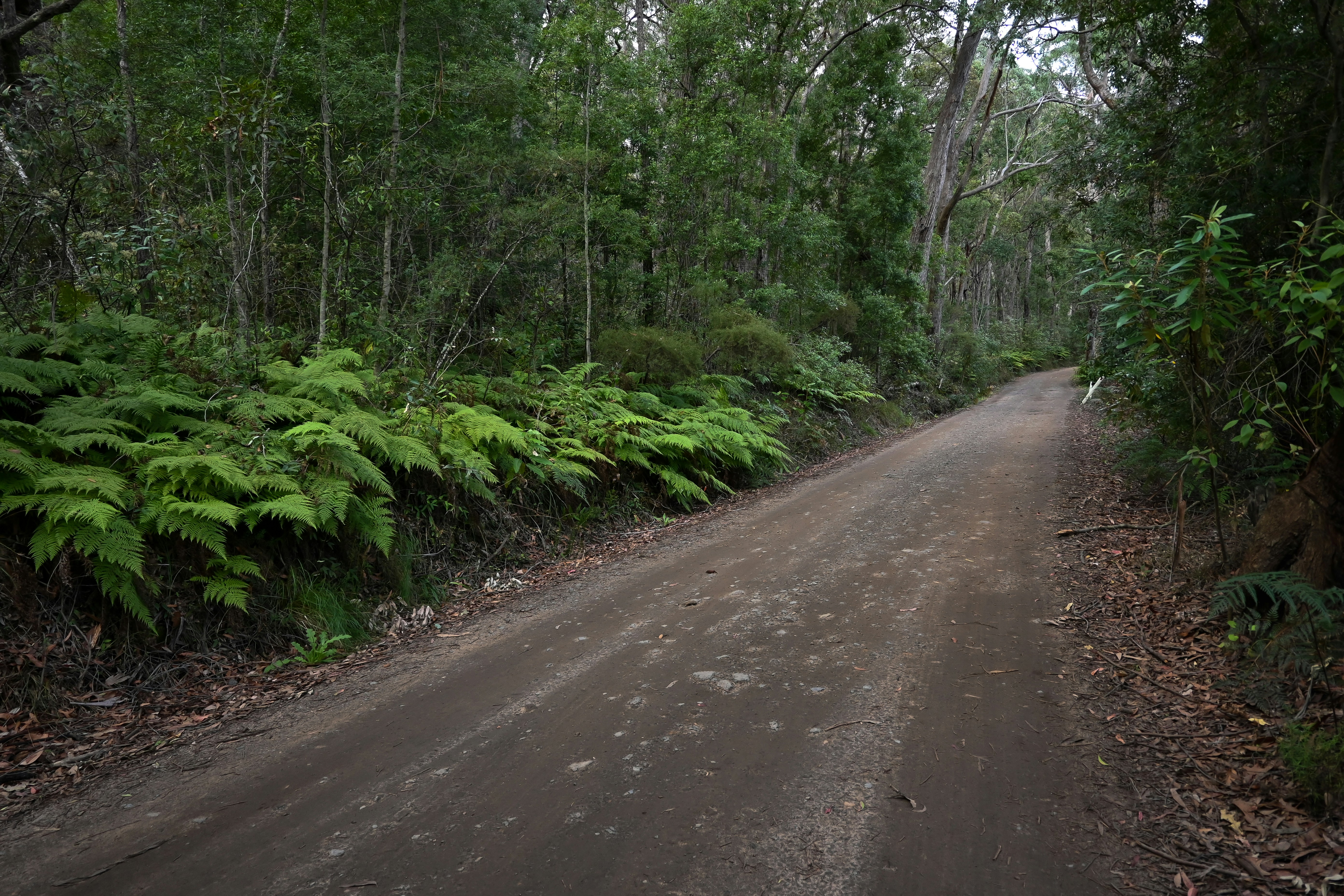 Photo by Athithan Vignakaran with Nikon Z30