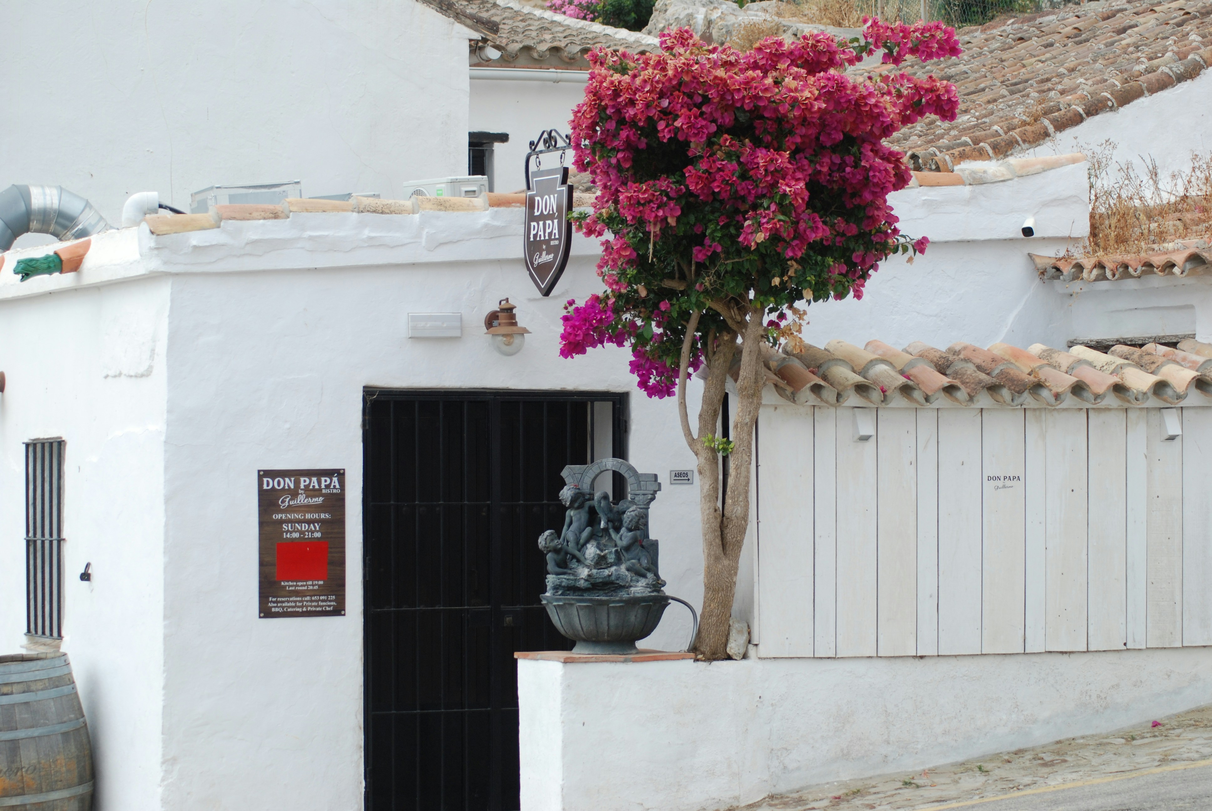 Bougainvillea Arch Over a White-Walled Courtyard Fountain