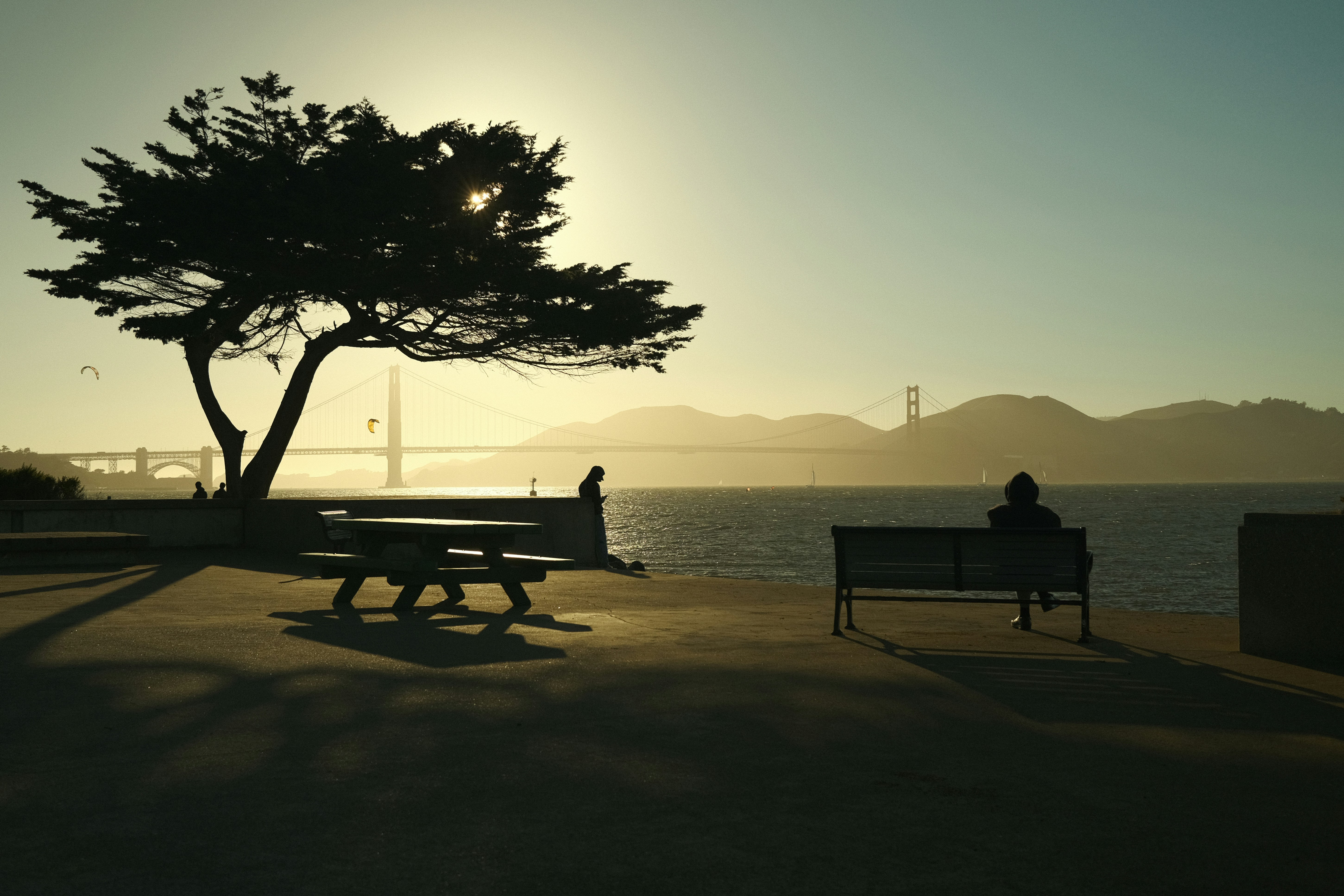Dusk by the Bay: A Lone Figure, a Windswept Tree, and Quiet Benches