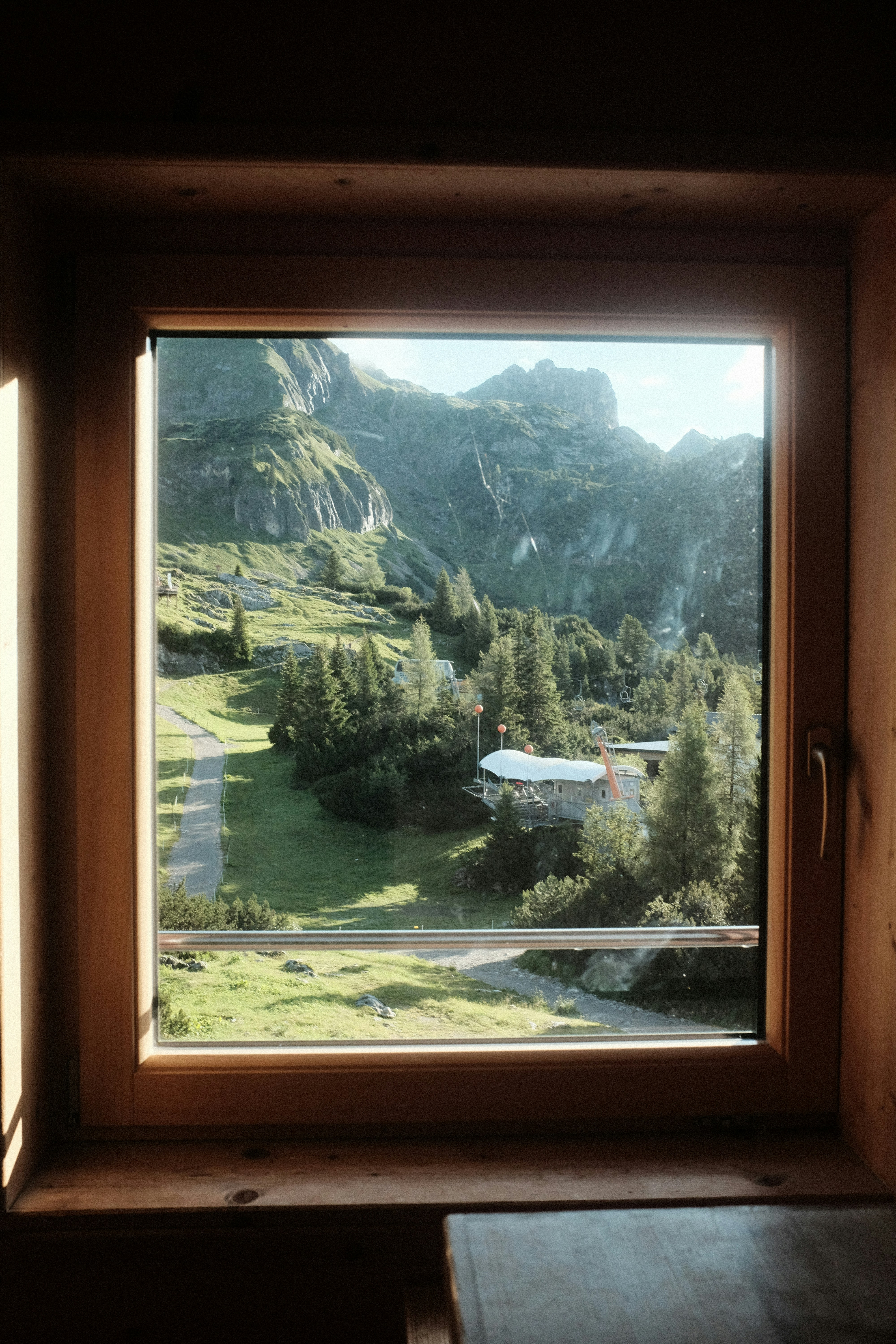 A view into the wild