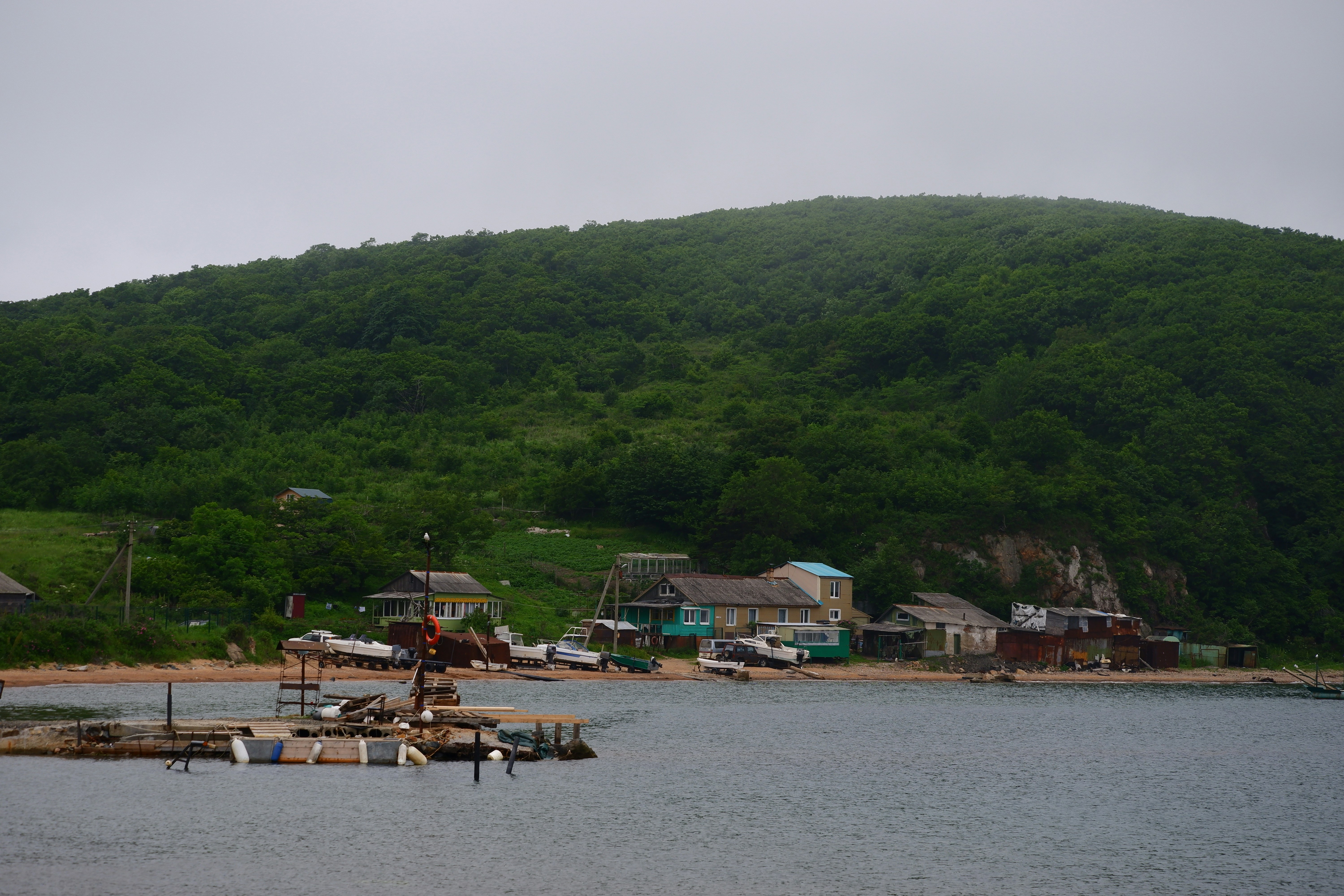 Harborfront Echo: Weathered Homes Nestle Along a Lush Hillside